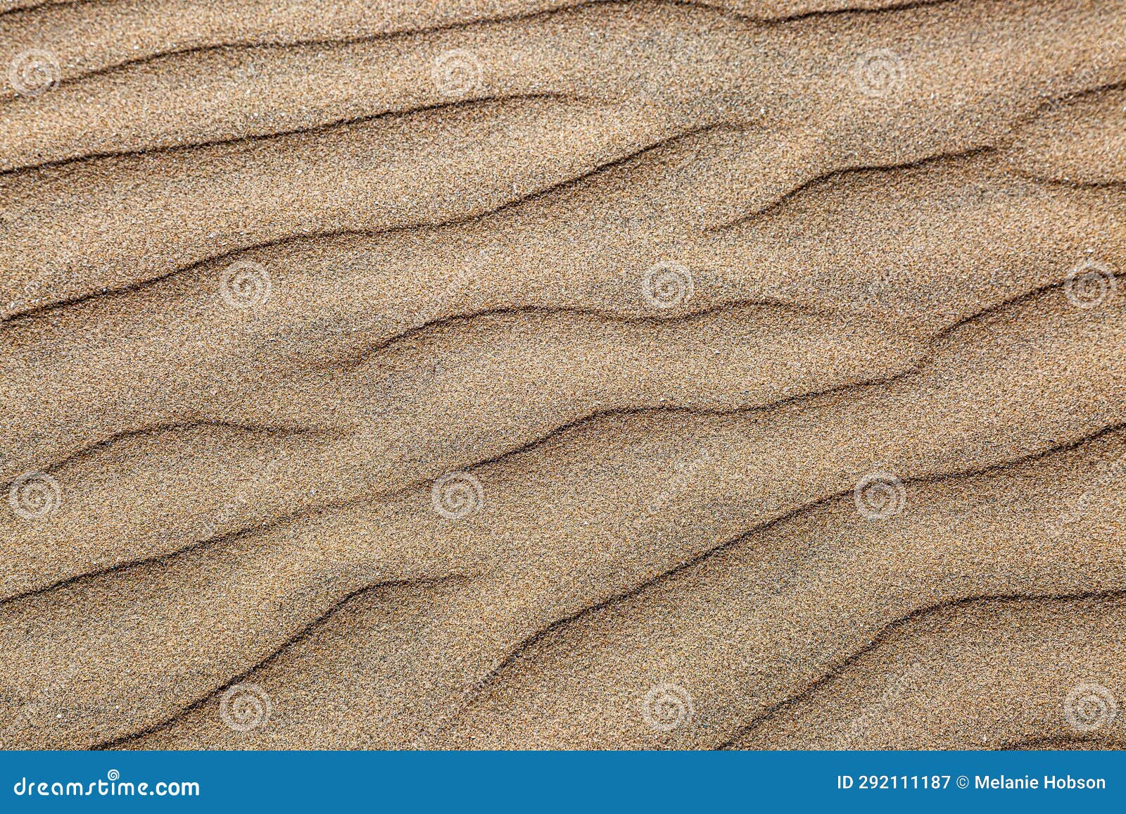 A Full Frame Photograph of Ripples in Sand Stock Image - Image of view ...