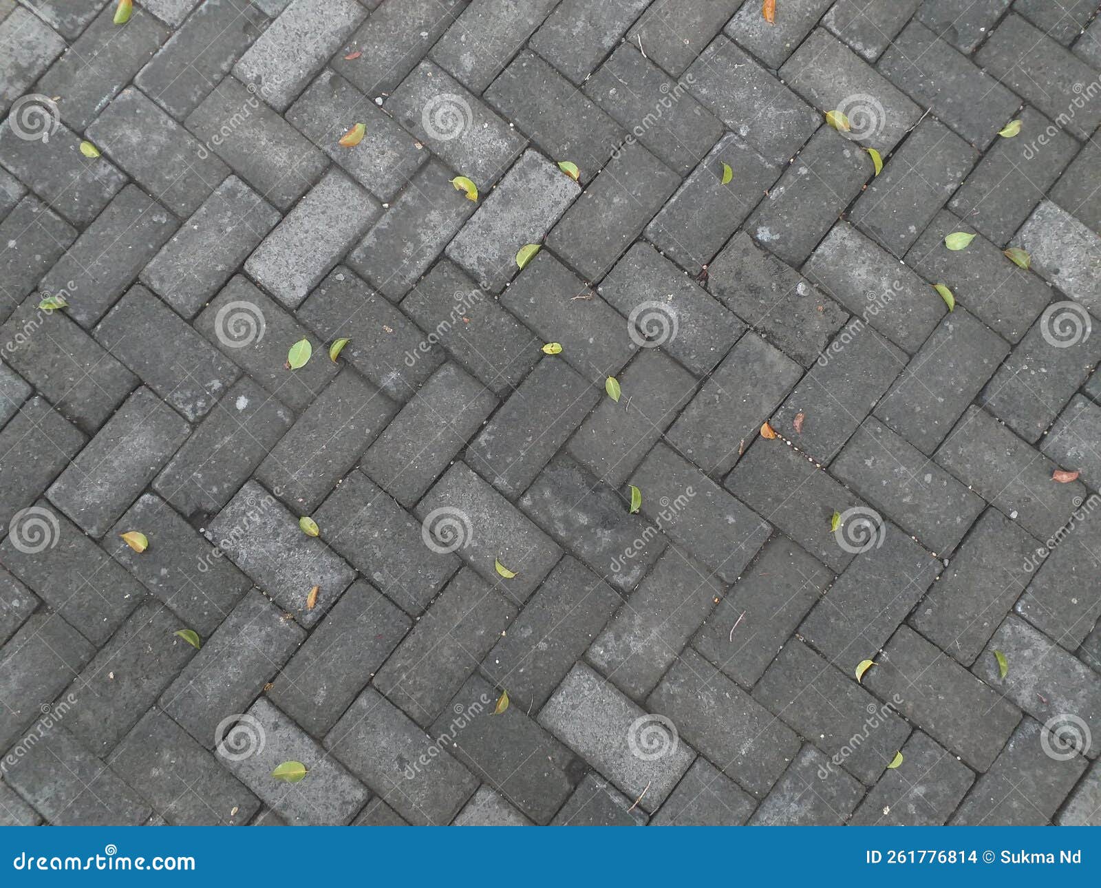 Full Frame Picture of Rectangular Paving Ground Stock Photo - Image of ...