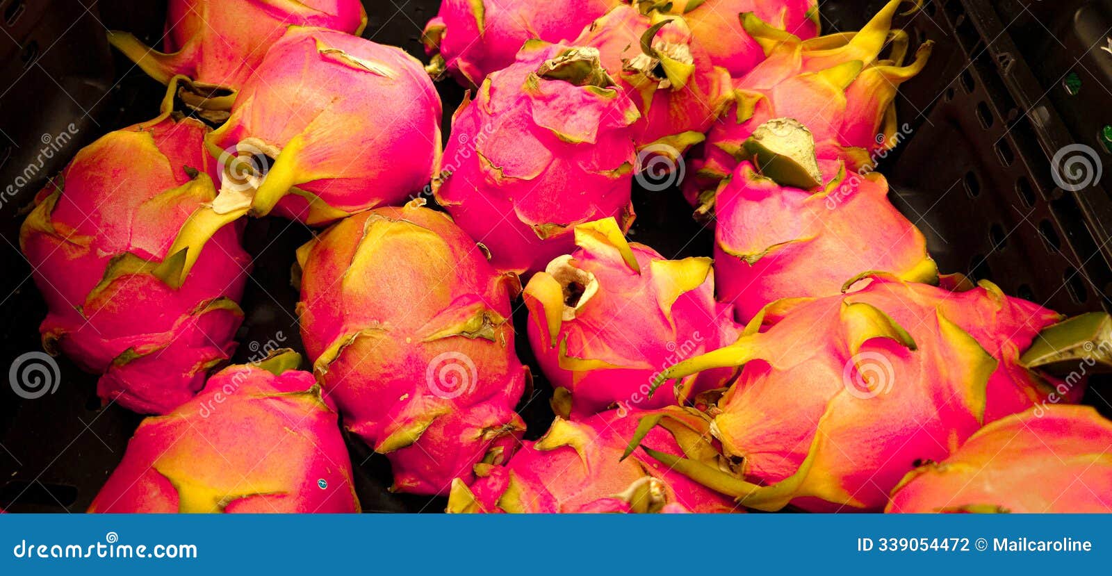 Full Frame Pink Bold Dragon Fruit Texture Artistic Texture Background ...