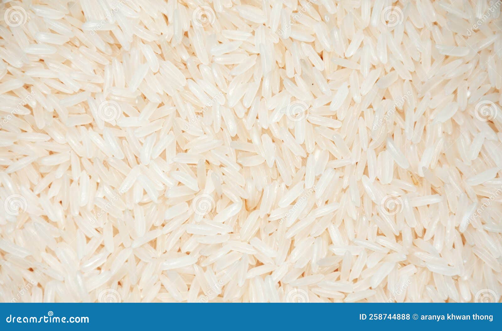 Full Frame of Raw Rice for the Background Stock Photo - Image of food ...