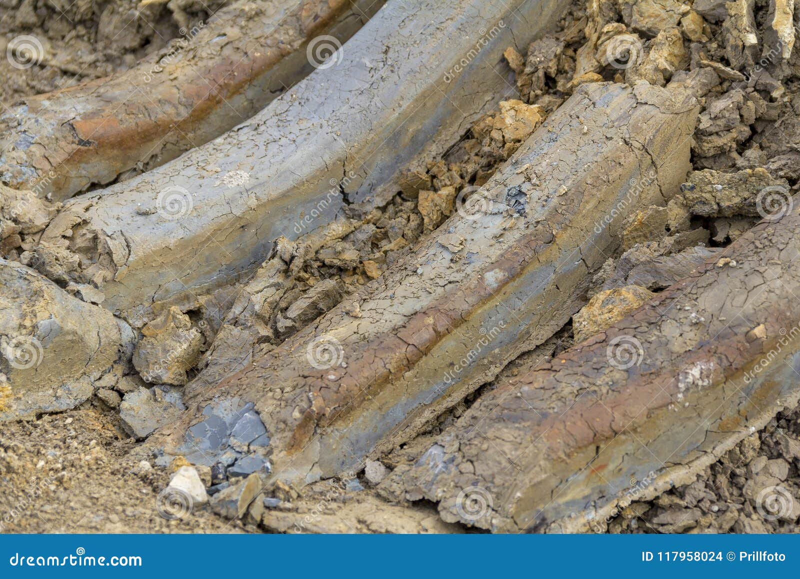 Full Frame Segmented Soil Structure Stock Photo - Image of detail ...