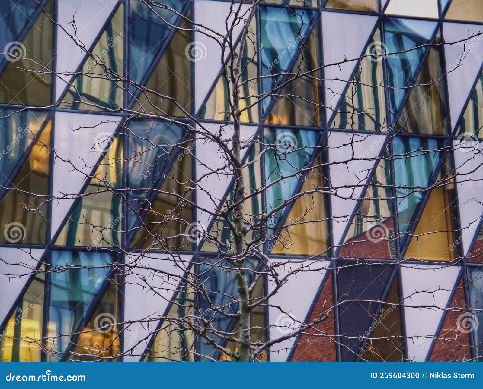 Full Frame Shot of Modern Building Behind Bare Tree Stock Photo - Image ...