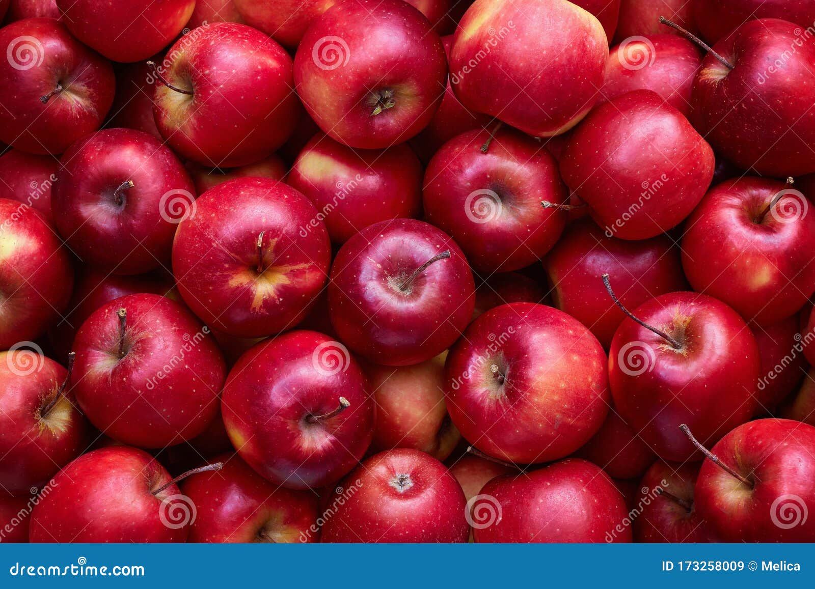 Full Frame Shot of Red Apples Stock Image - Image of lots, crop: 173258009