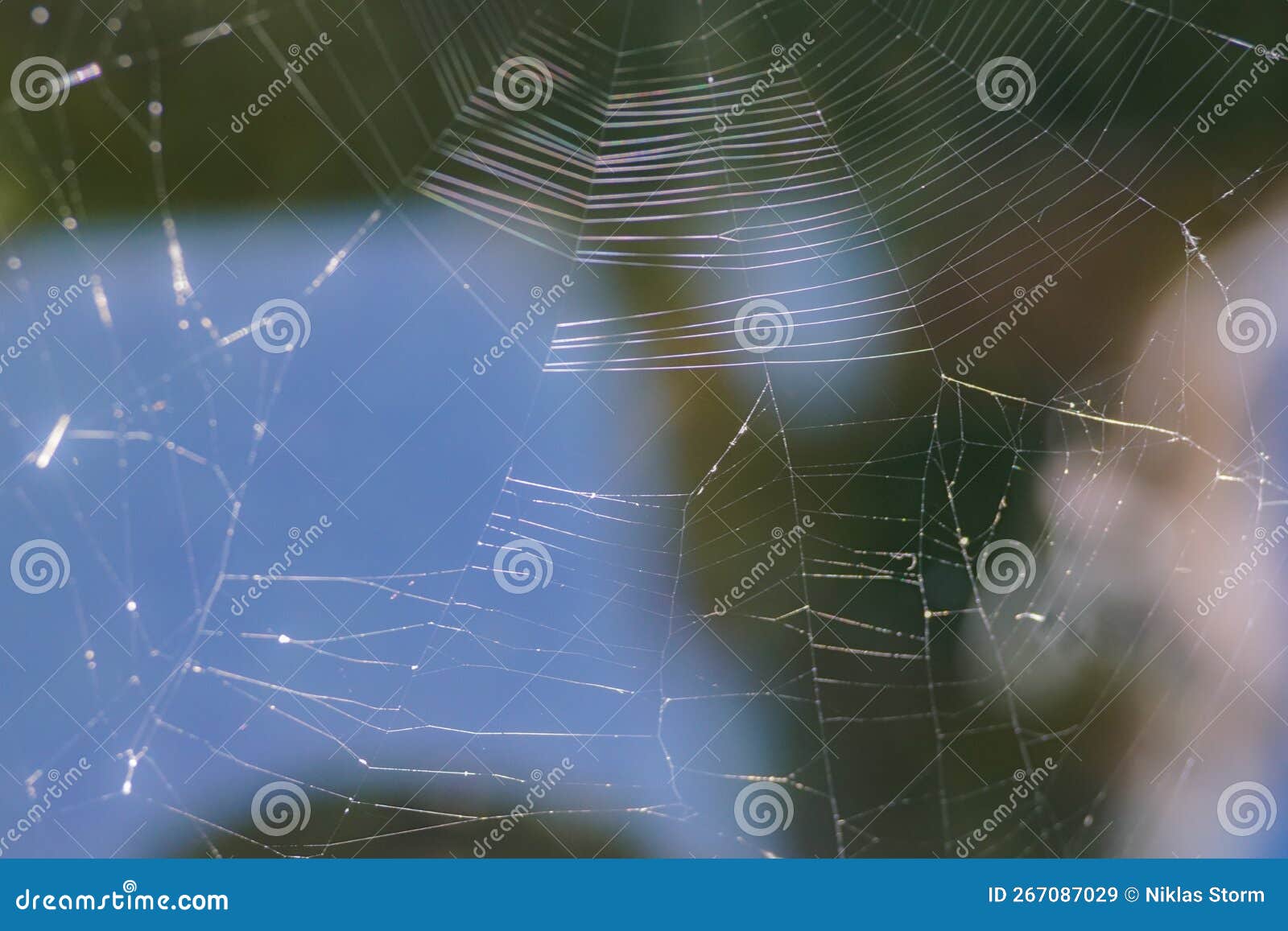 Full Frame Shot of Spider Web Against Water Stock Image - Image of ...