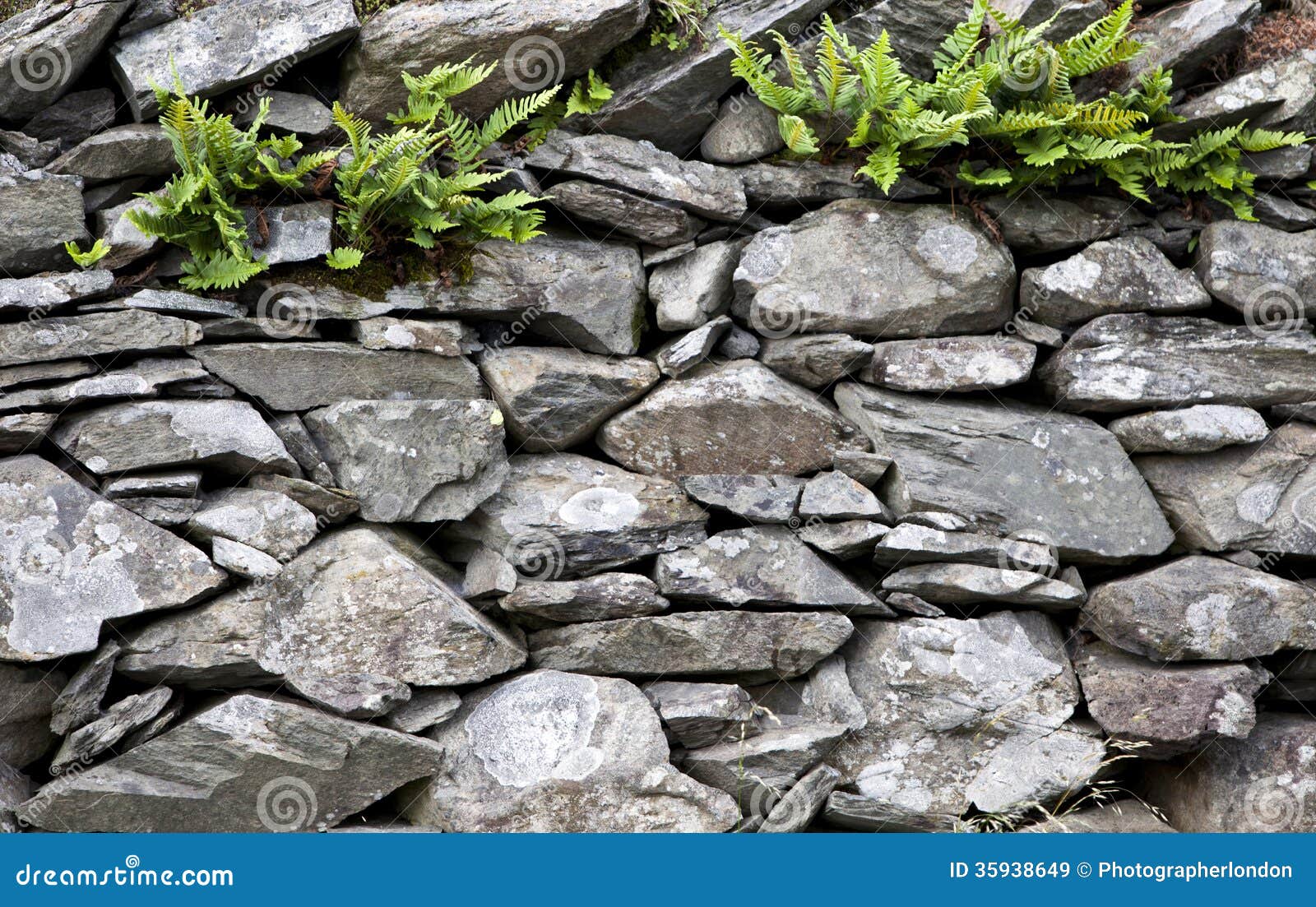 Full Frame Shot of Stone Wall Stock Image - Image of safety, growth ...