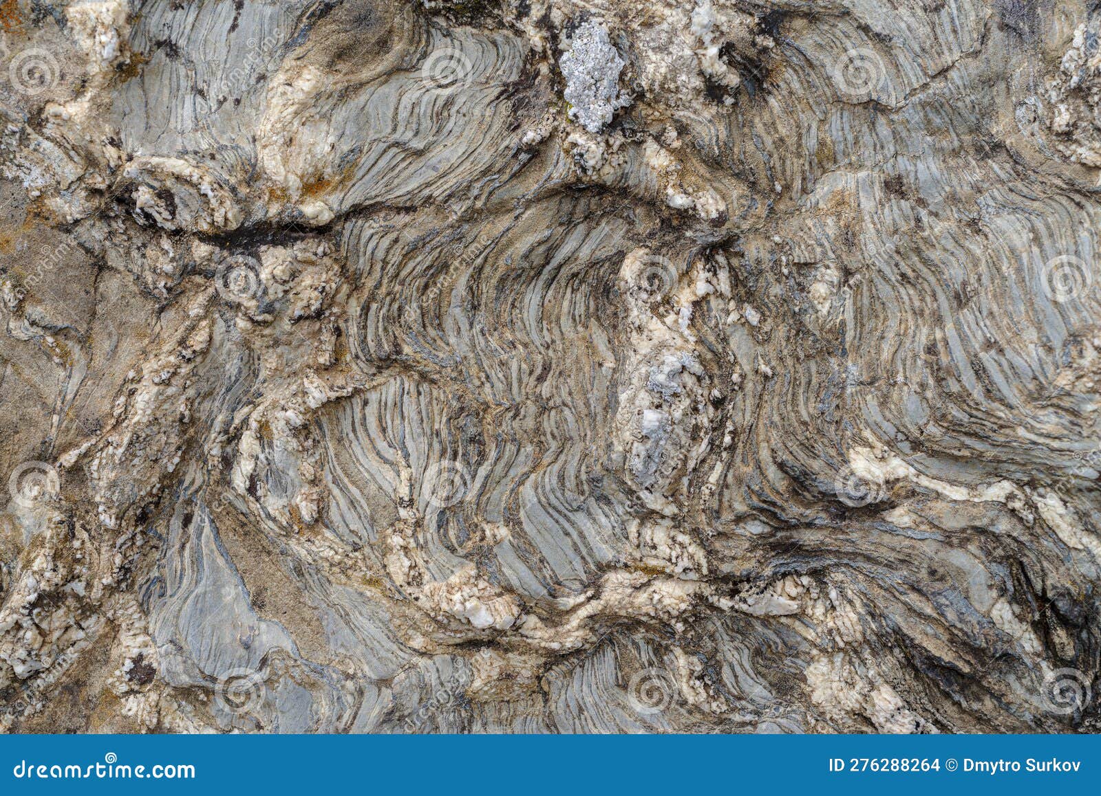 Stone texture stock photo. Image of design, stone, grainy - 276288264
