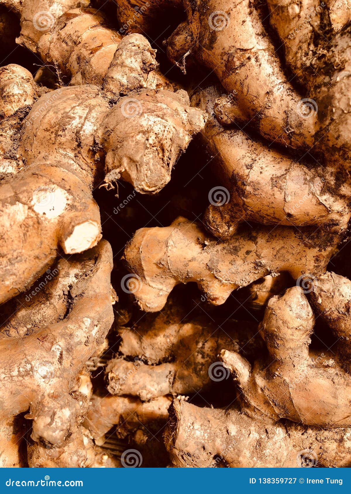 Full Frame of Texture, Group of Gingers for Sale at Market Stock Image ...