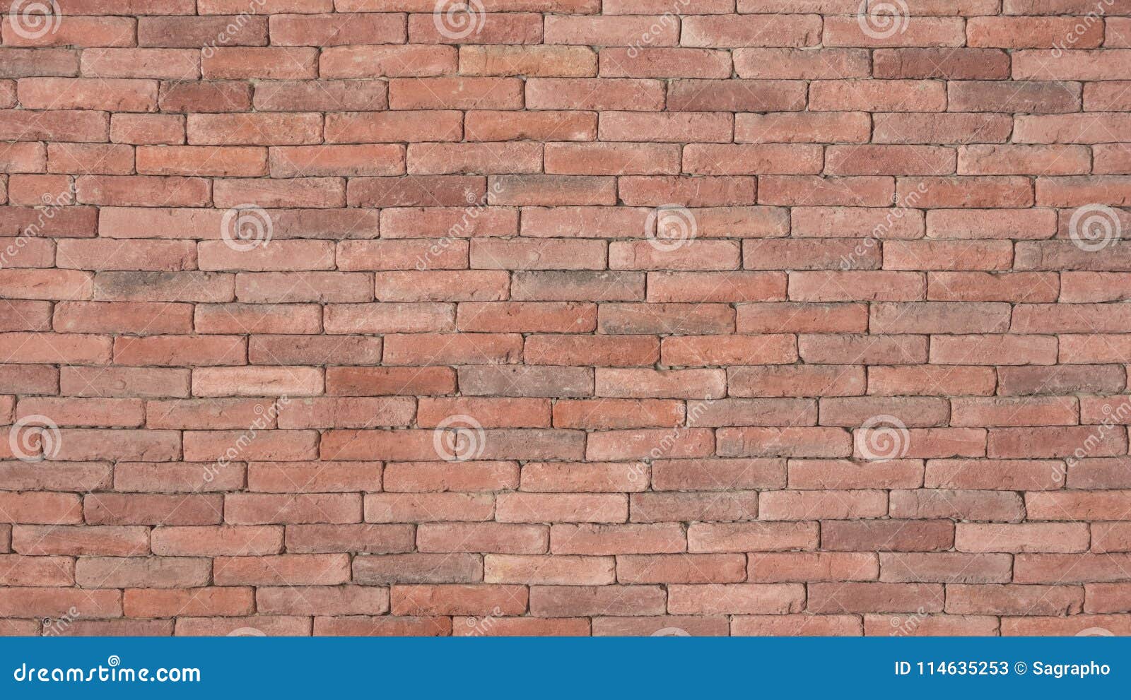 Brick Wall Background Front View Stock Image - Image of focus, full ...