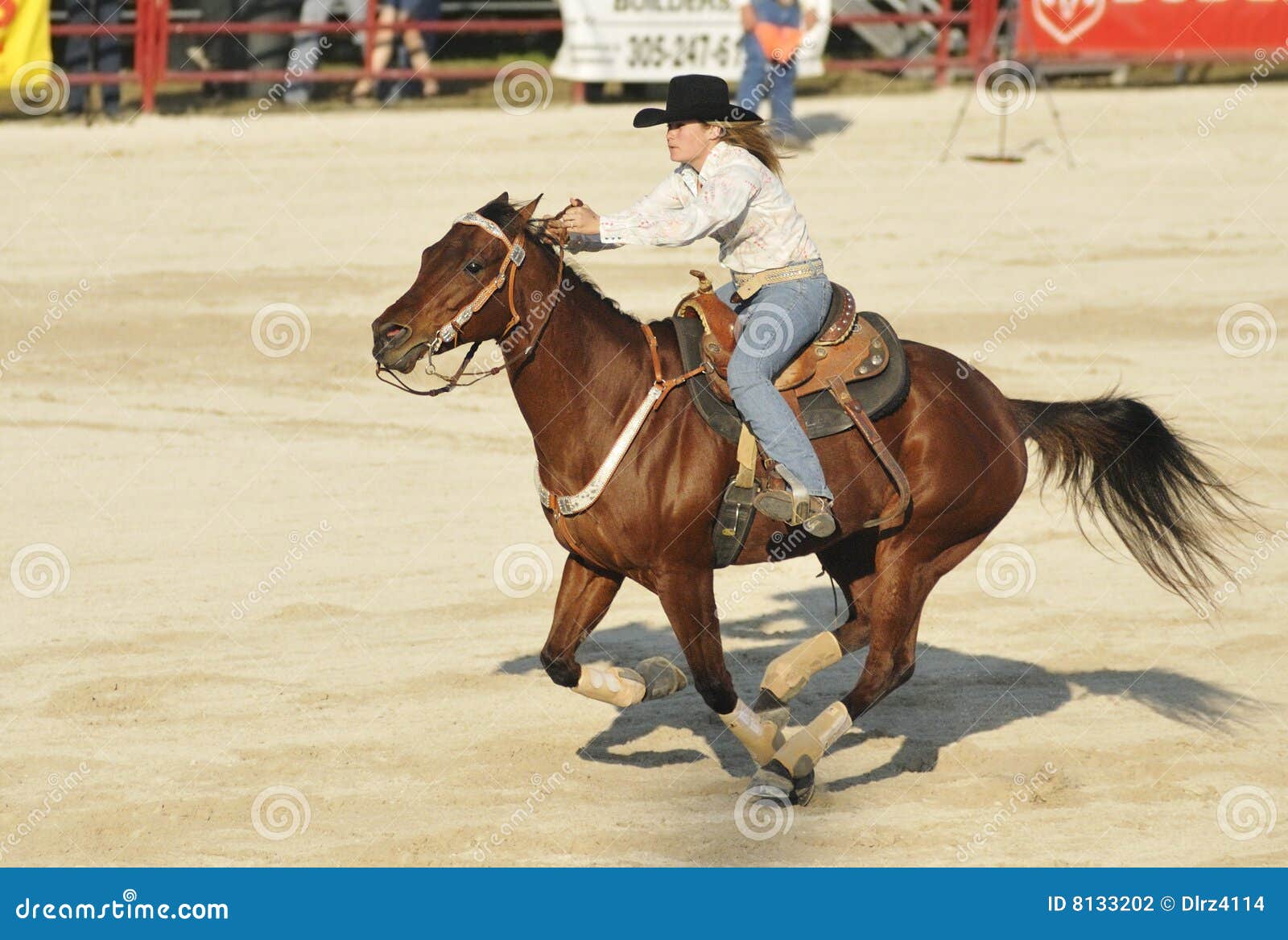 Full Gallop Cowgirl editorial photography. Image of animal - 8133202