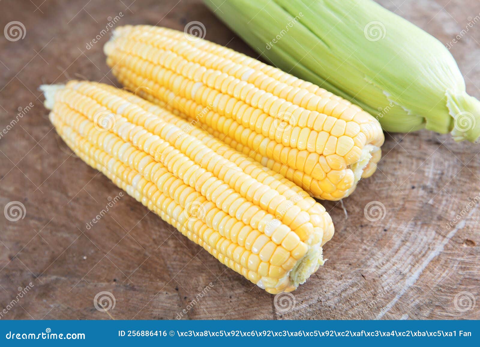 Full-grained Tender Corn on the Cob Stock Photo - Image of chopping ...