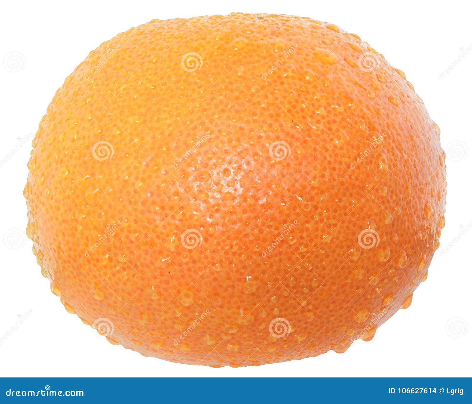 Full grapefruit isolated stock photo. Image of background - 106627614