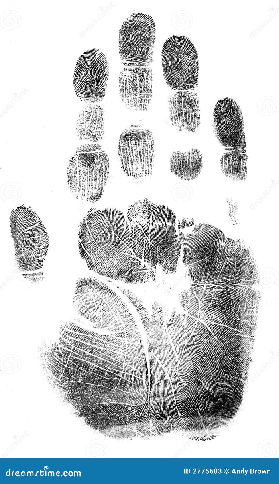 Full Handprint - Closed stock illustration. Illustration of print - 2775603