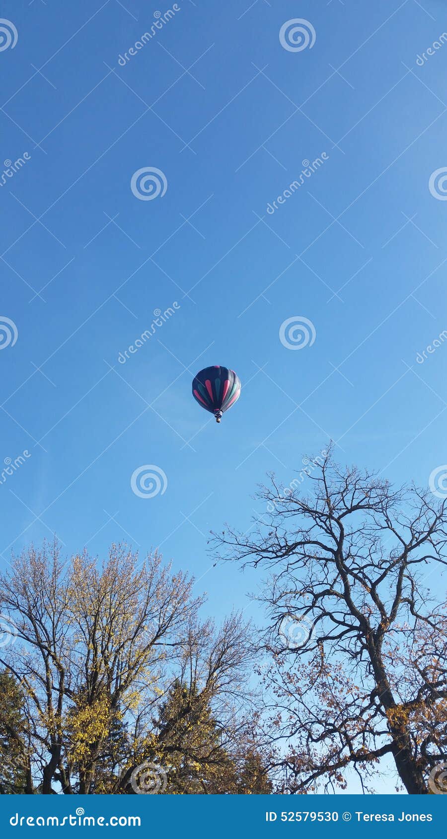 Full of hot air stock photo. Image of trees, balloon - 52579530