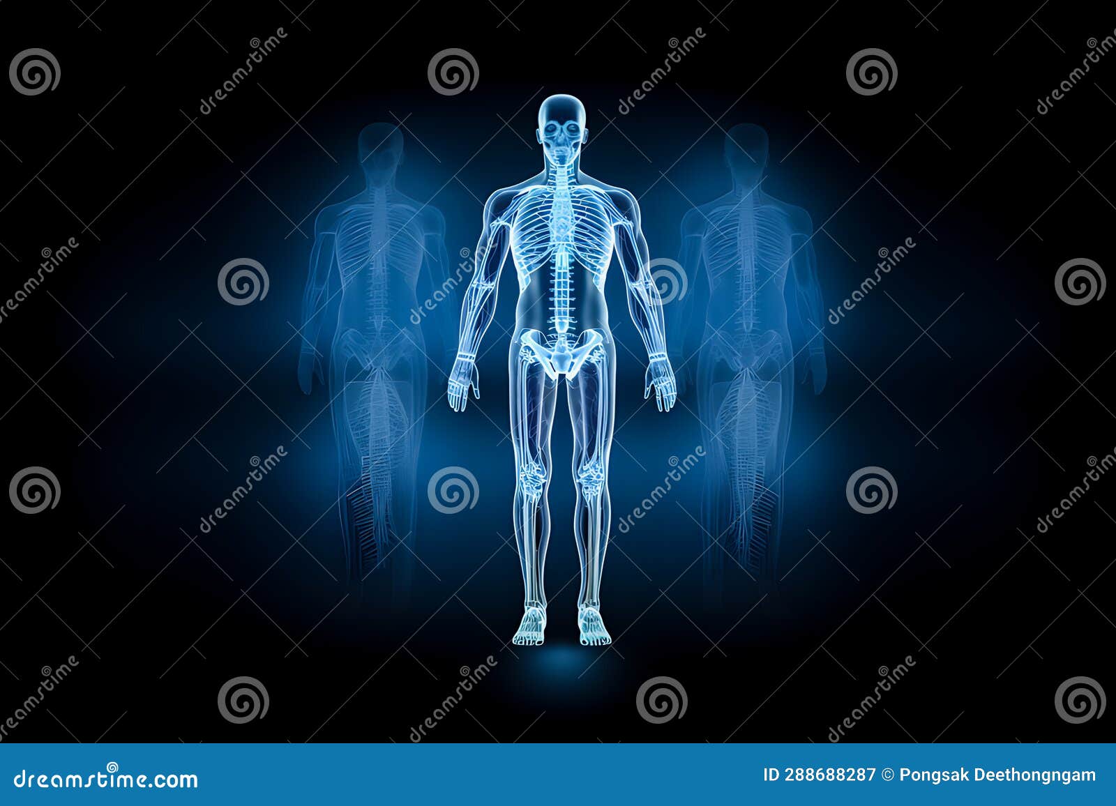 Full Human Body in X-ray Format. Created Using Generative AI Stock ...