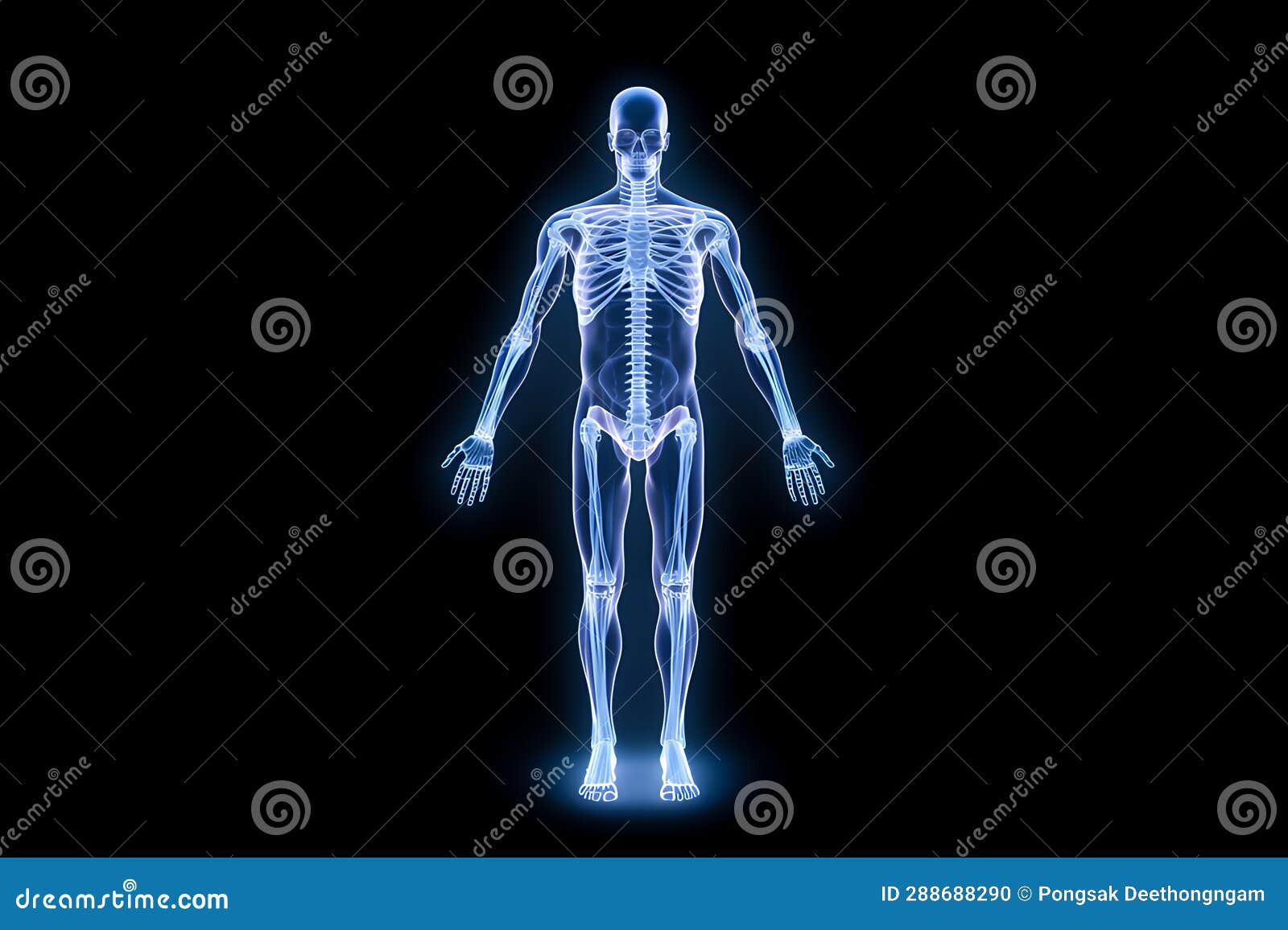Full Human Body in X-ray Format. Created Using Generative AI Stock ...