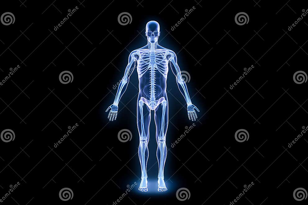 Full Human Body in X-ray Format. Created Using Generative AI Stock ...