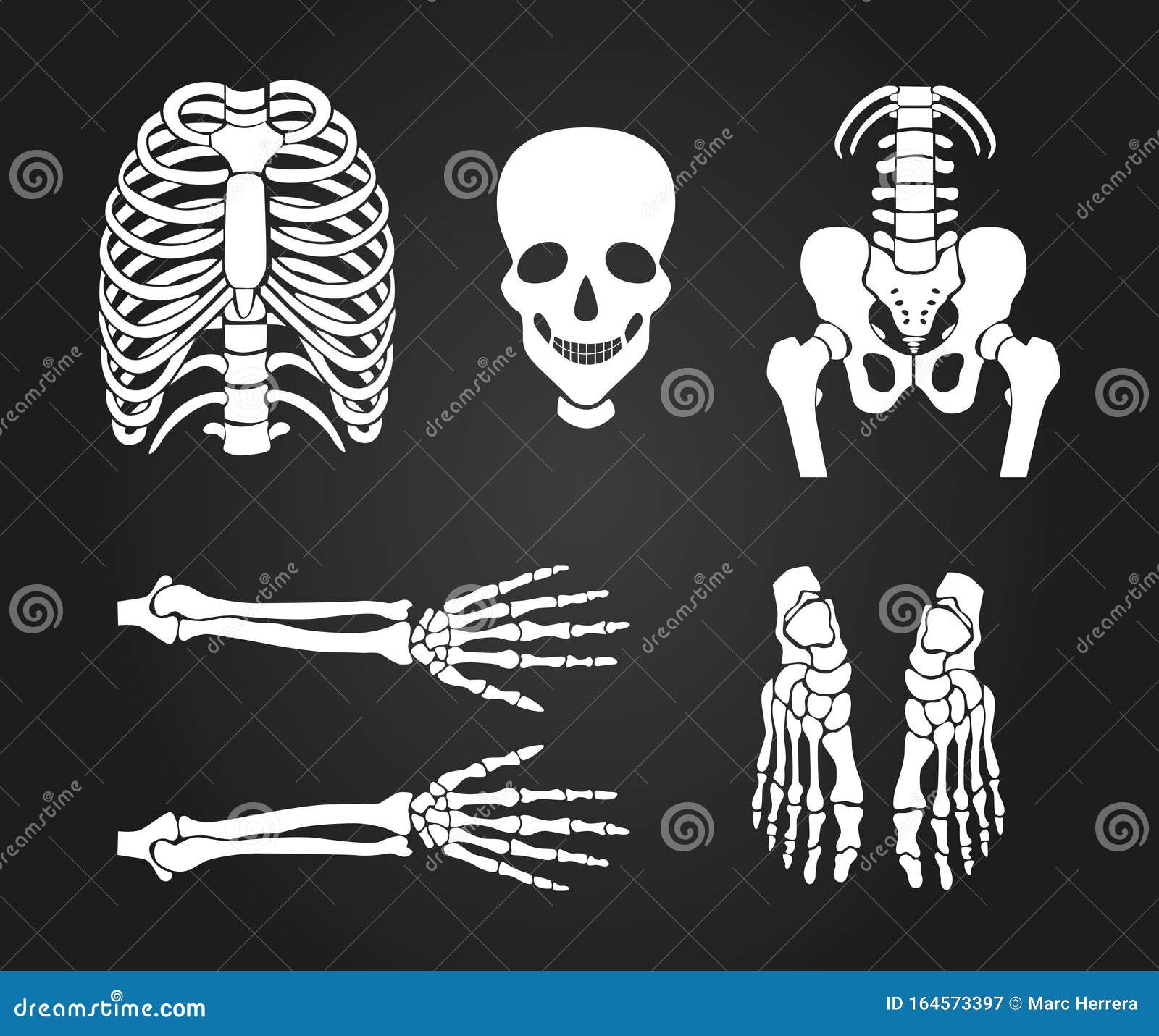 Full Human Icon. Trendy Flat Vector Full Human Icon On White Background ...