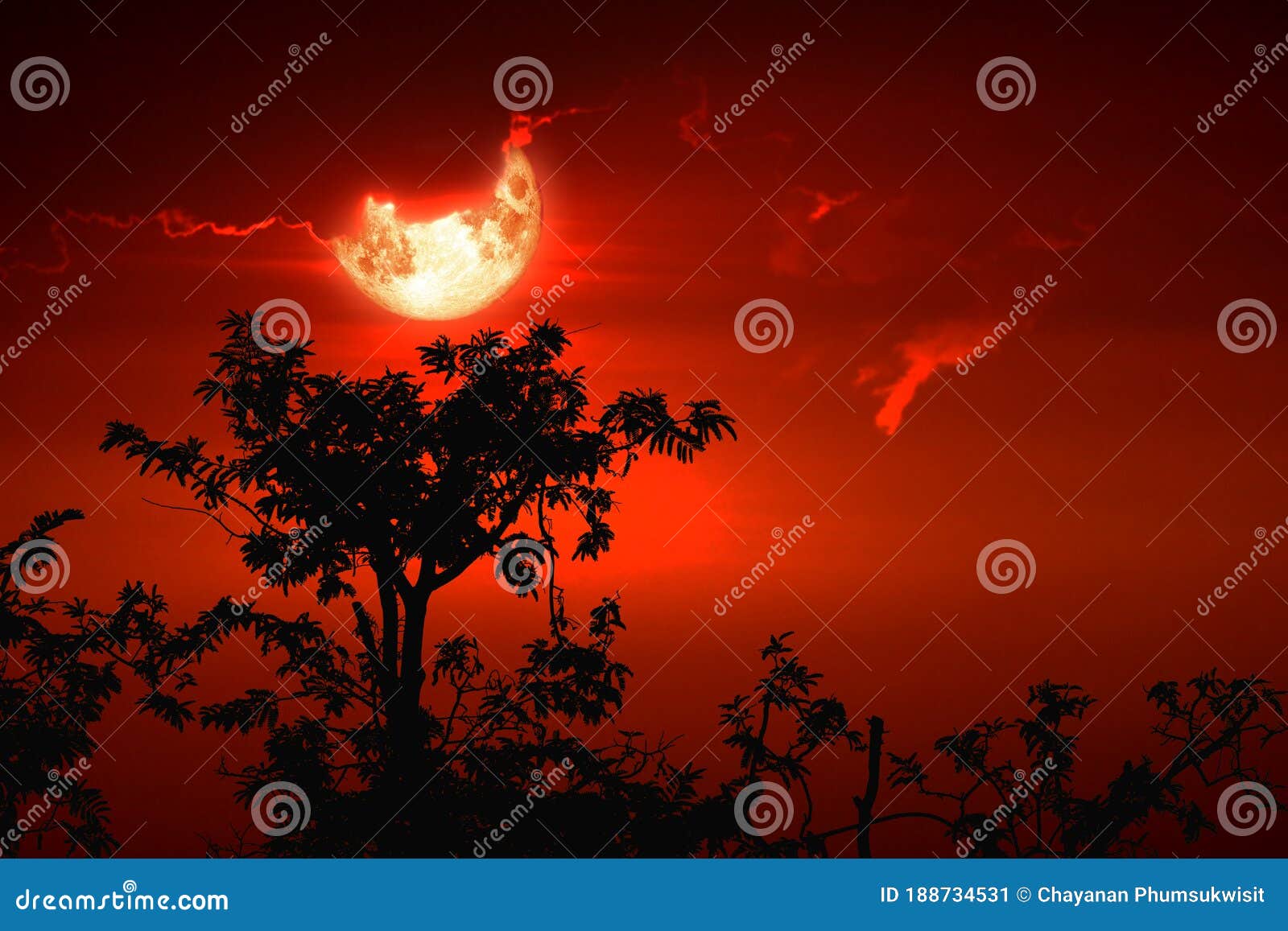 Full Hunger Moon on Night Sky Back Silhouette Tree and Cloud Stock ...