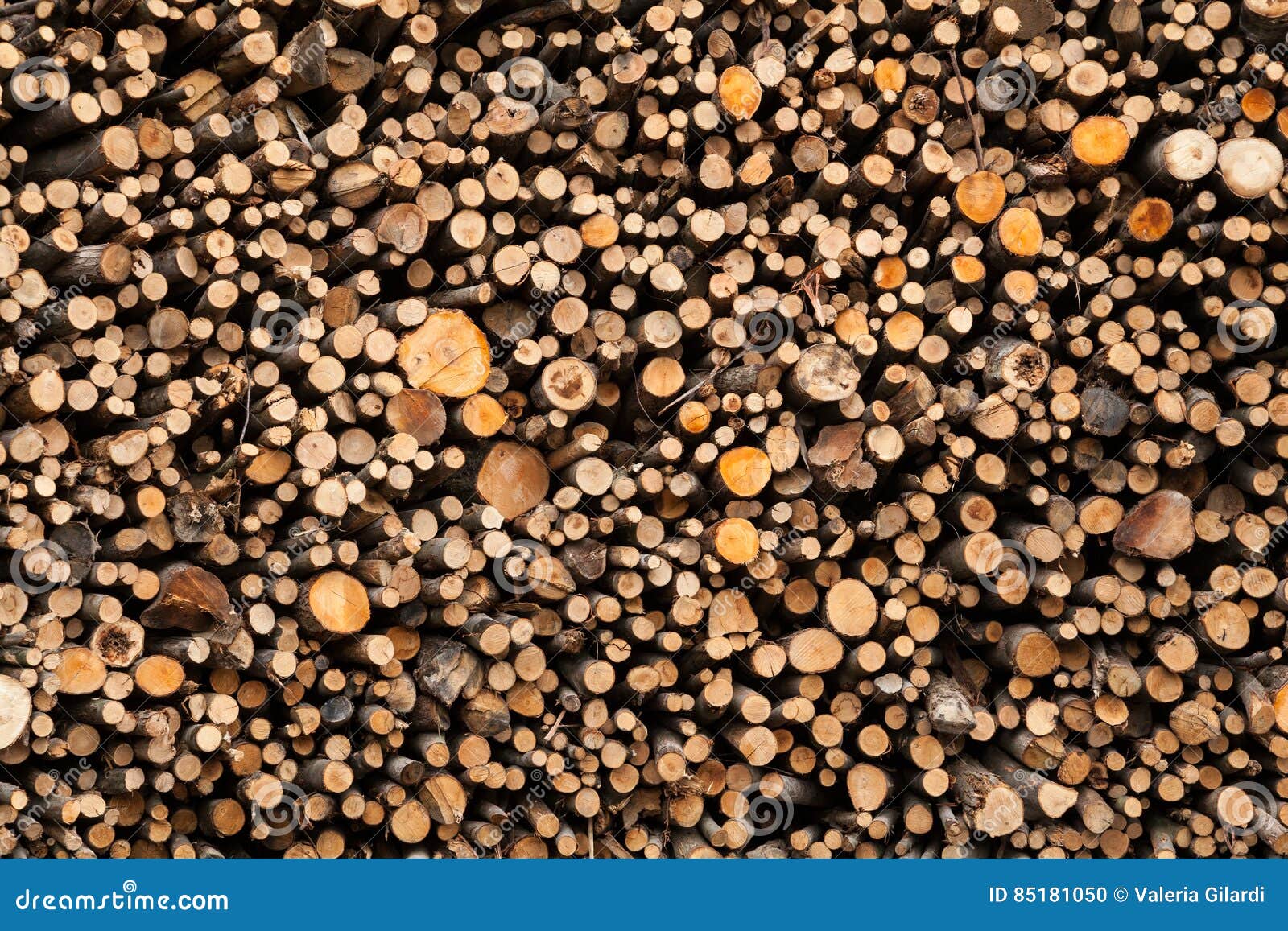 Full Image of Cut Wood Pile, Texture Stock Photo - Image of plant, ends ...