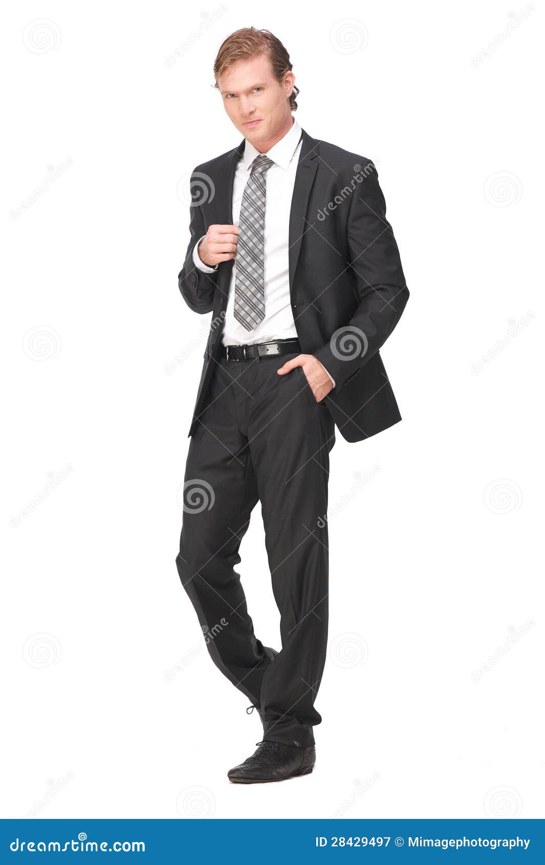 Full Length Businessman stock image. Image of executive - 28429497