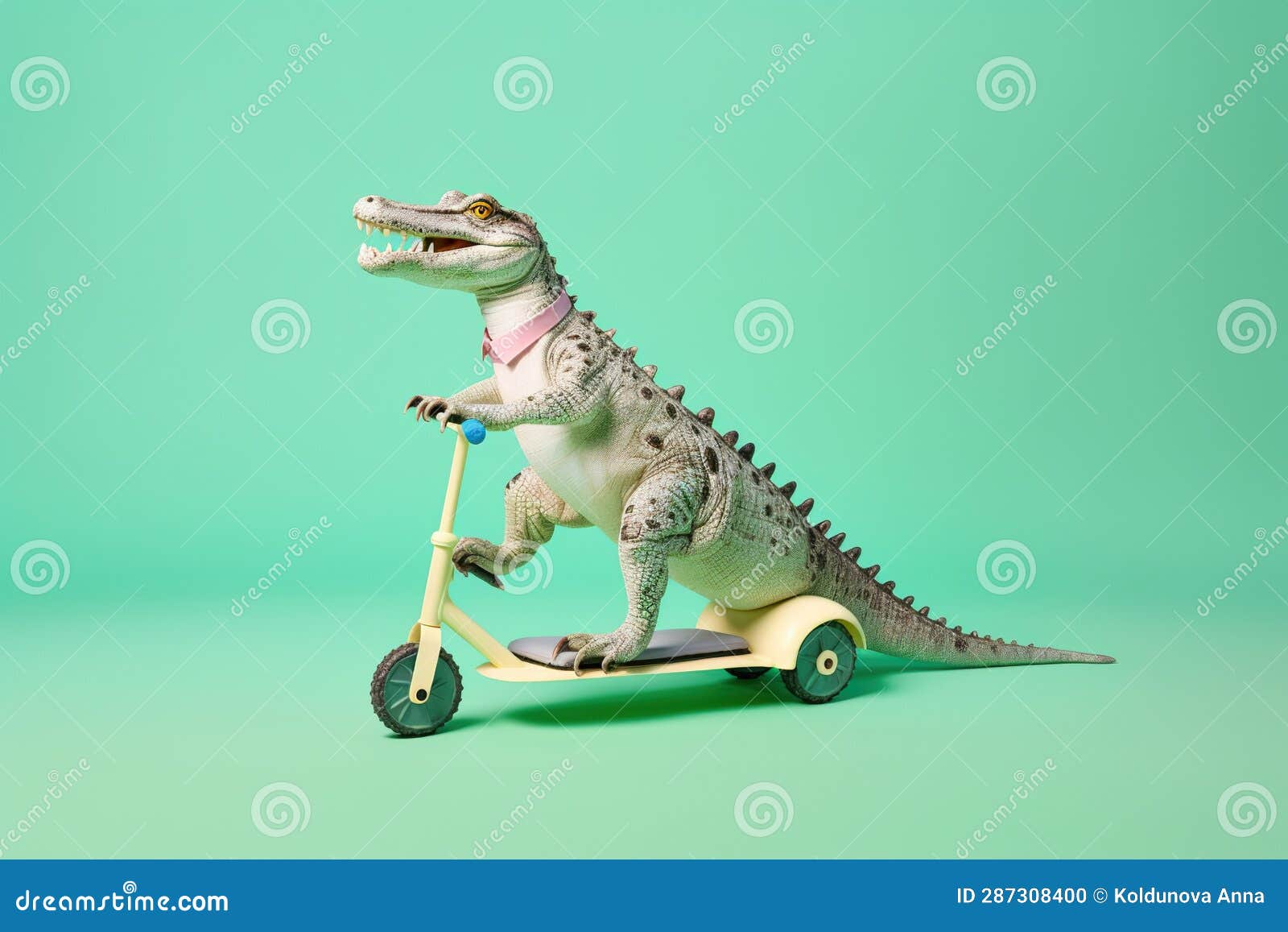 Studio Portrait of a Cute Crocodile Riding Bicycle Stock Photo - Image ...