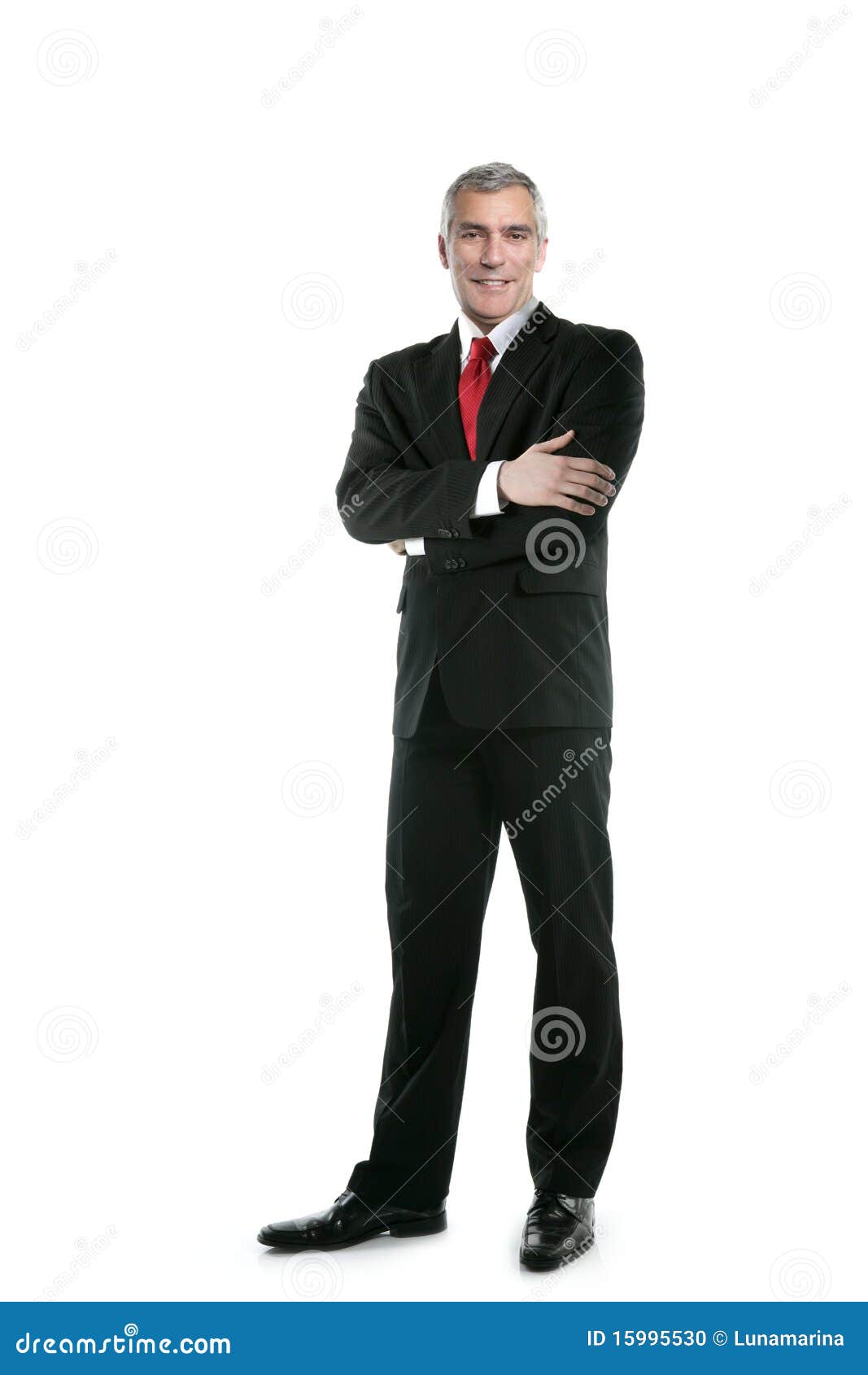 Full Length Suit Tie Businessman Posing Stand Stock Photo - Image of ...