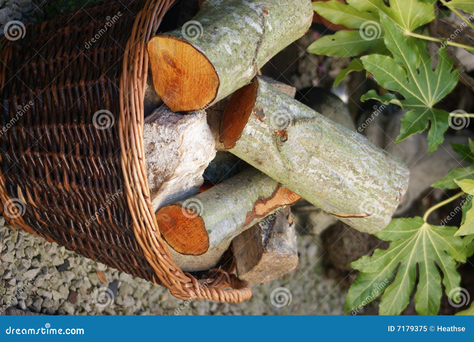 Full Log Basket in a Garden Stock Image - Image of season, ecofriendly ...