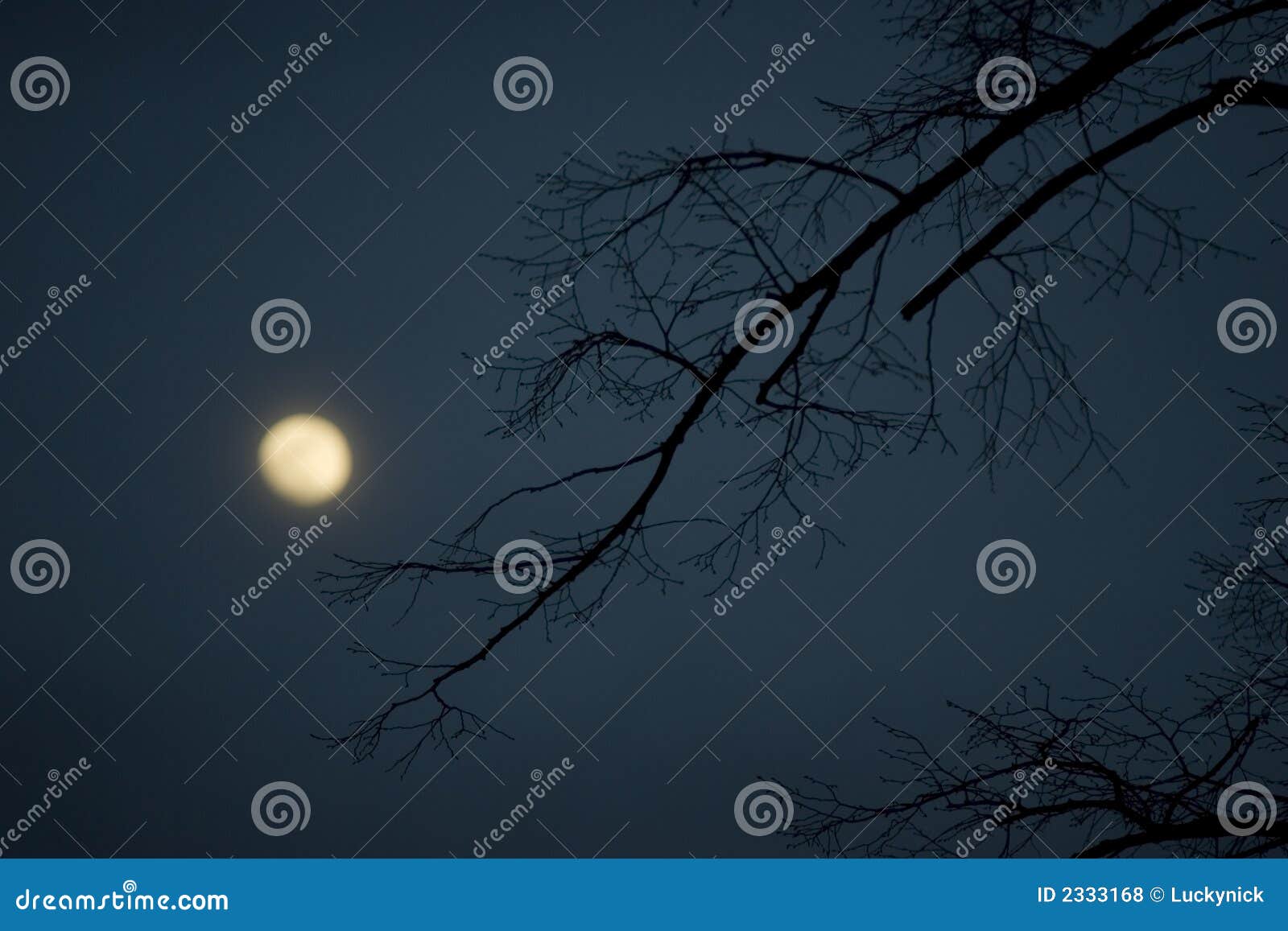 Full moon stock photo. Image of high, evening, colors - 2333168