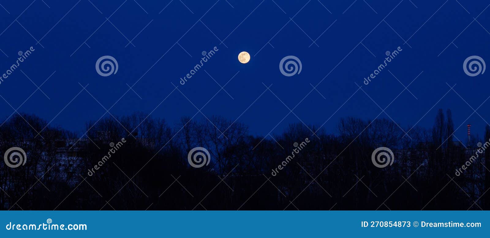 Full Moon Above Trees on the Top of a Clear Night Sky Stock Image ...