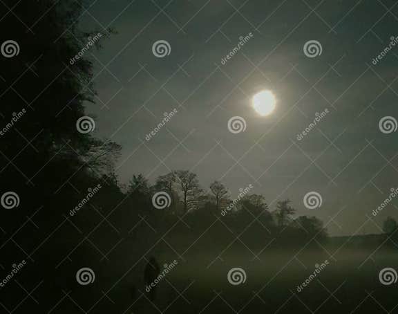 Full moon stock photo. Image of alone, night, full, nature - 104564676