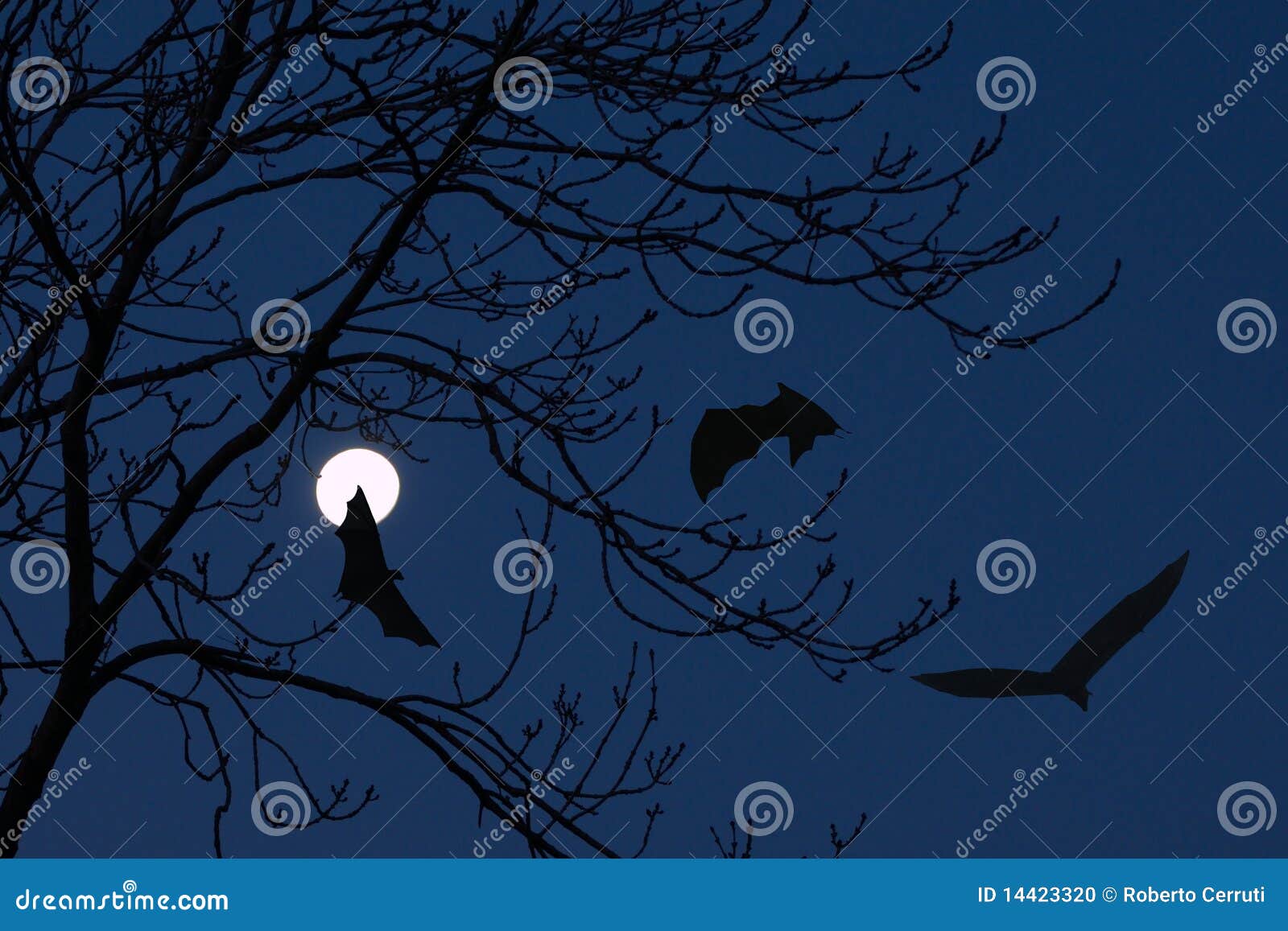 Full moon and bats stock illustration. Illustration of landscape - 14423320