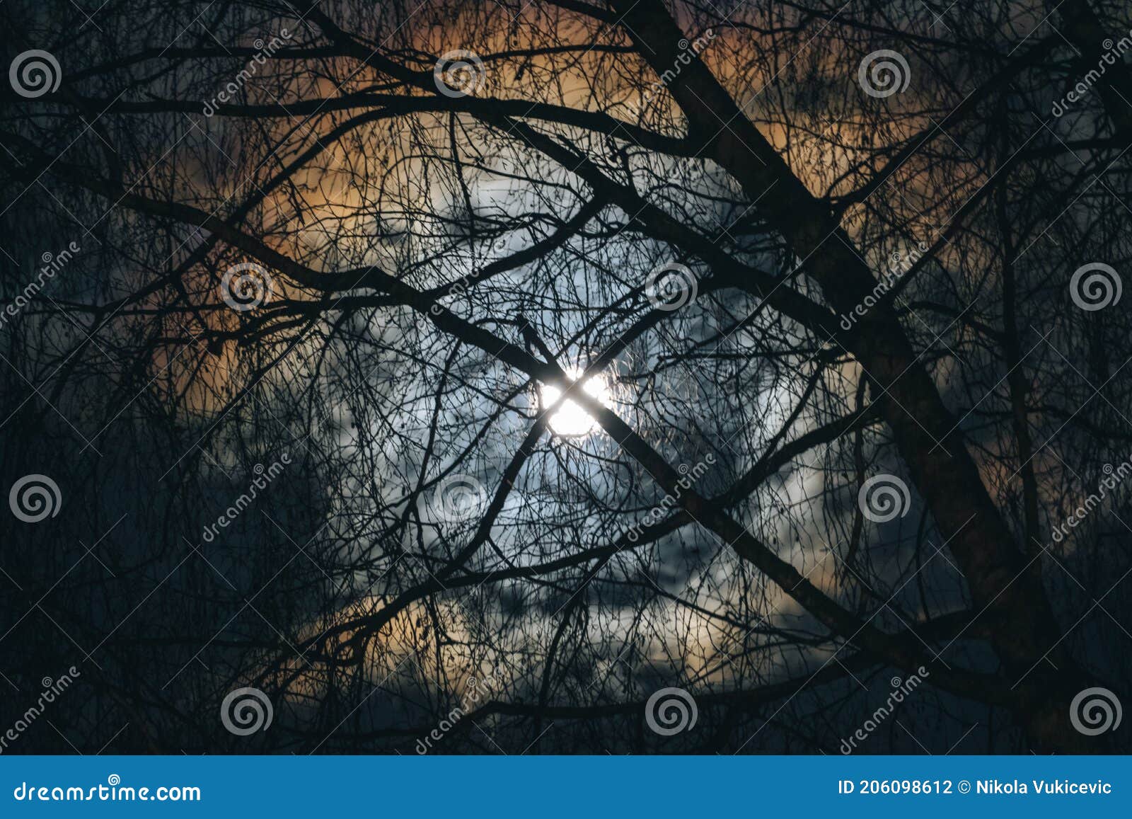 Full Moon Behind Tree Branches Stock Photo - Image of beautiful, grunge ...