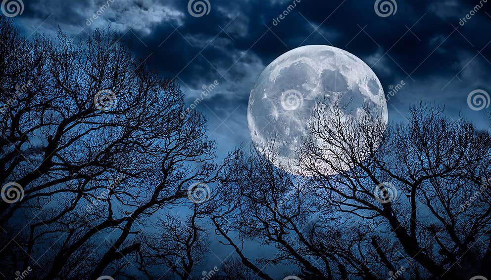 Full Moon Behind Tree Branches at Night - Midnight Cloudscape Stock ...
