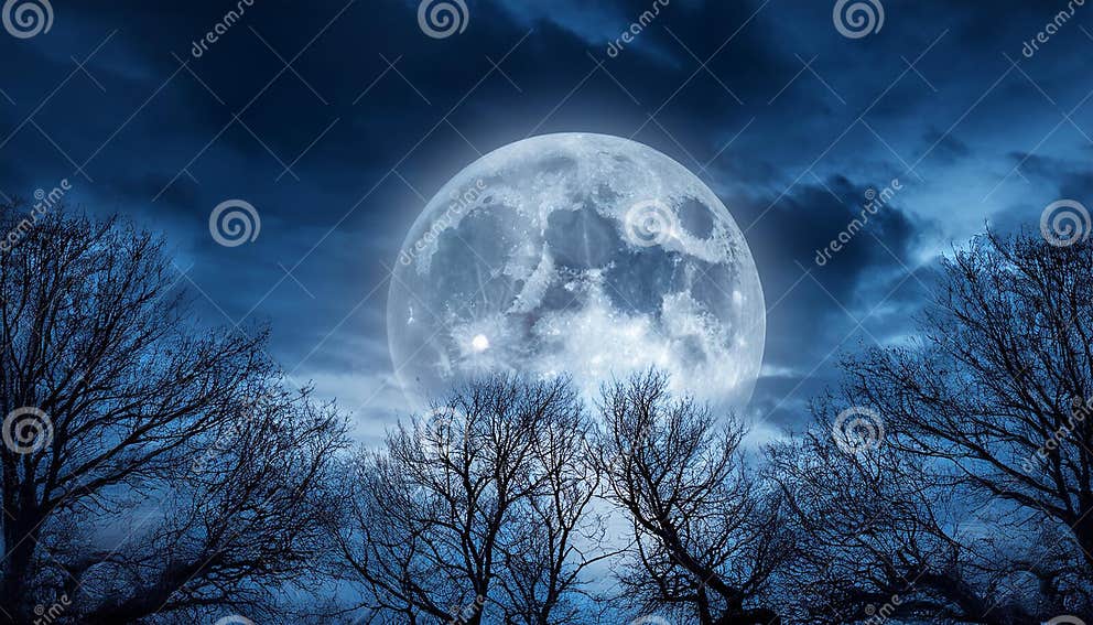 Full Moon Behind Tree Branches at Night - Midnight Cloudscape Stock ...