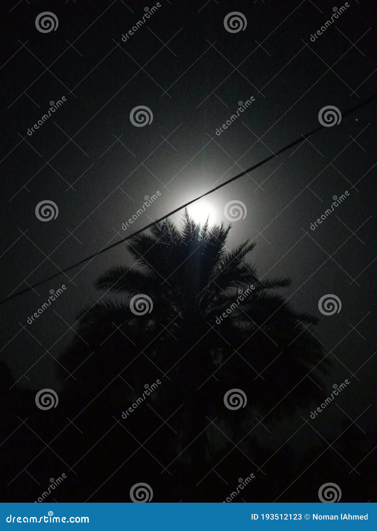 Full moon behind tree stock image. Image of moonlight - 193512123