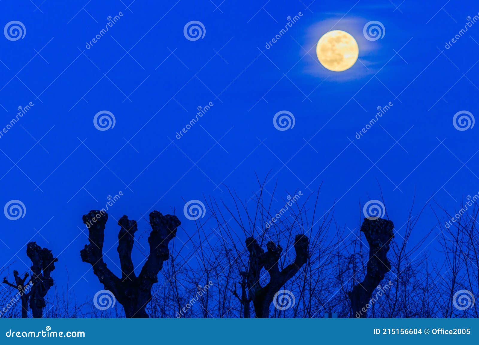 Full Moon Behind Trees in the Park of Enns Stock Photo - Image of ...