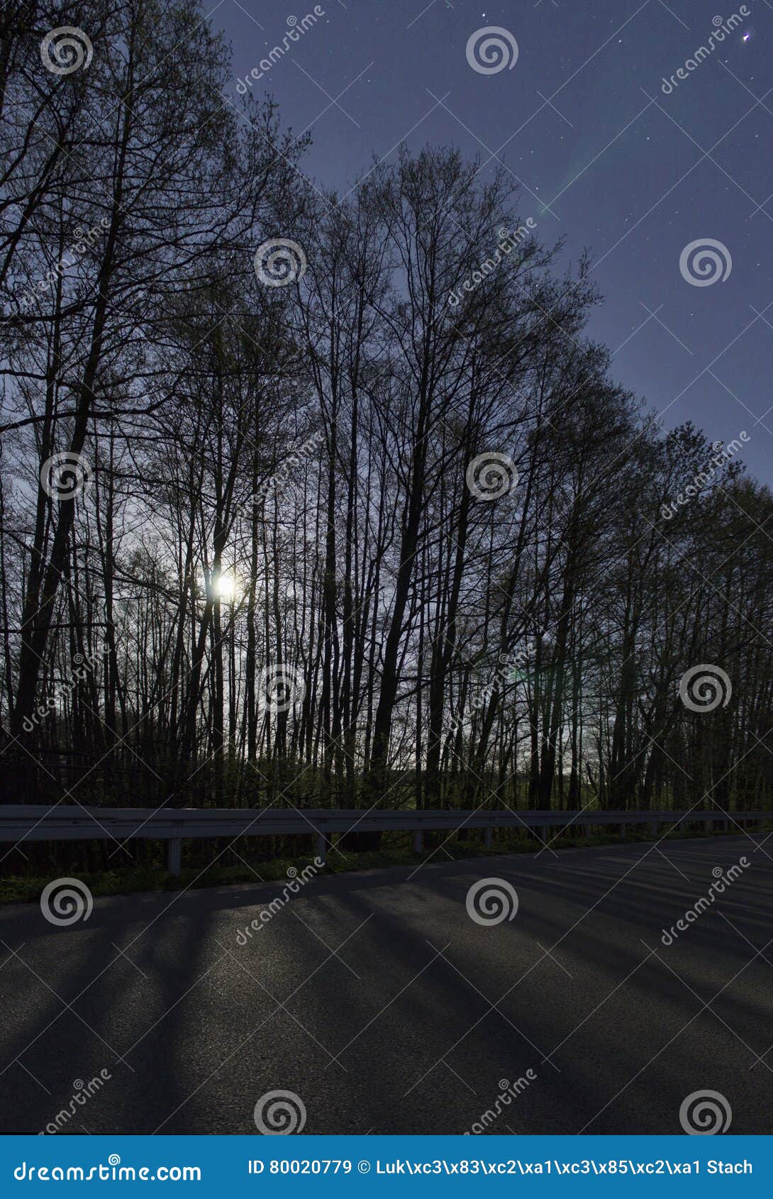Full moon behind trees stock image. Image of light, landscape - 80020779
