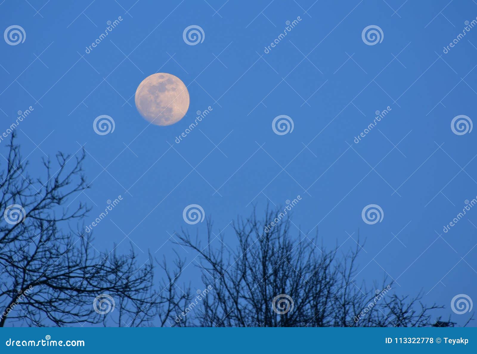Full Moon Blue Hour Sky stock photo. Image of atmosphere - 113322778