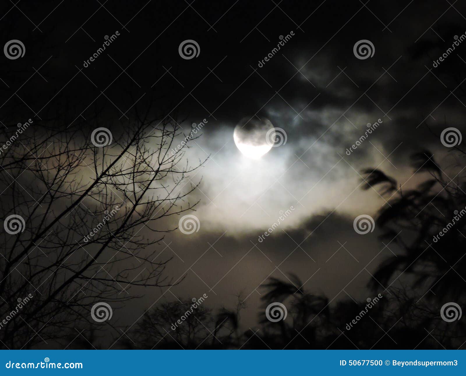 Full Moon with Cloud Cover Rolling in Stock Photo - Image of tree, coverage: 50677500