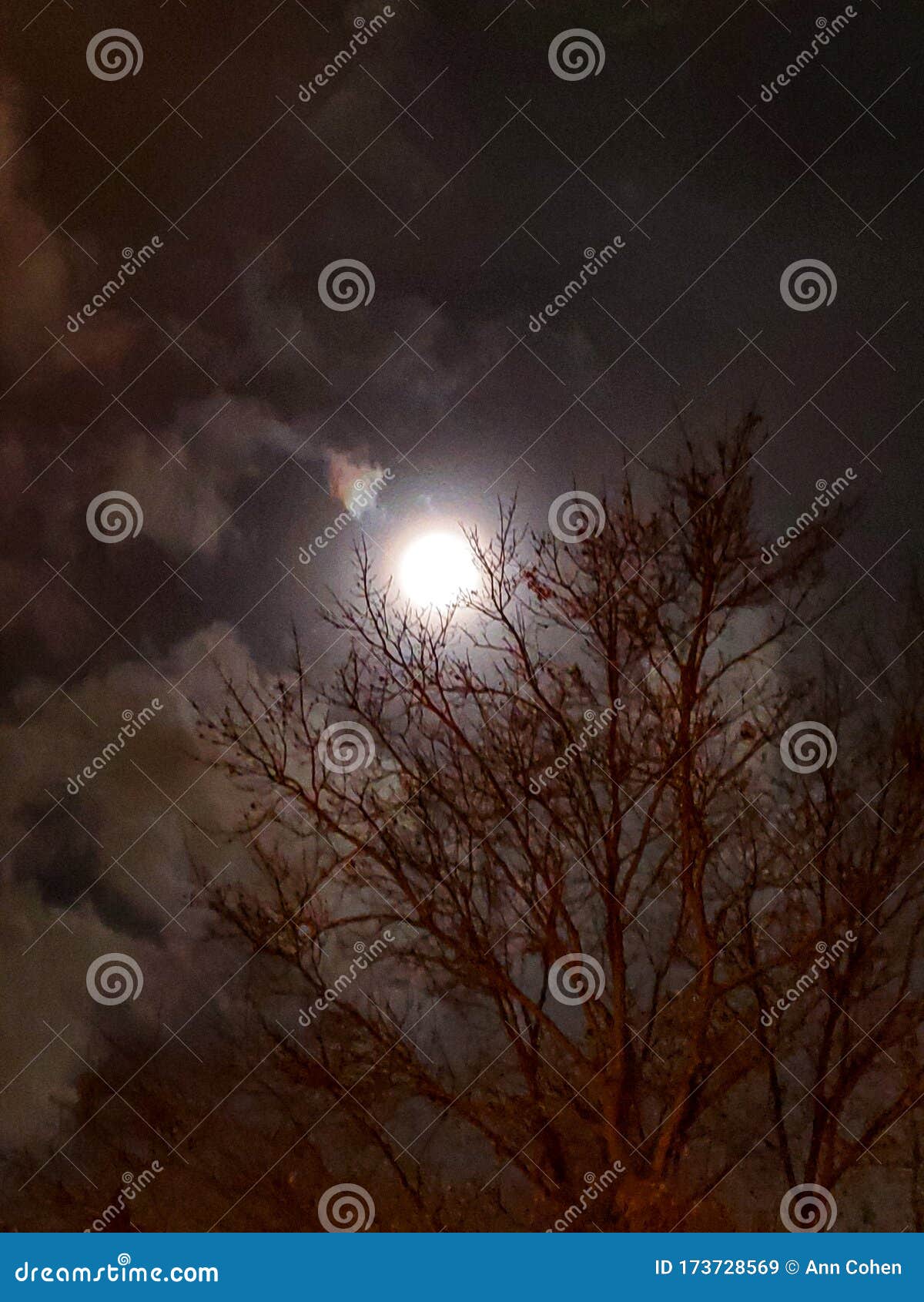 Full moon cloudy sky stock image. Image of spring, moon - 173728569