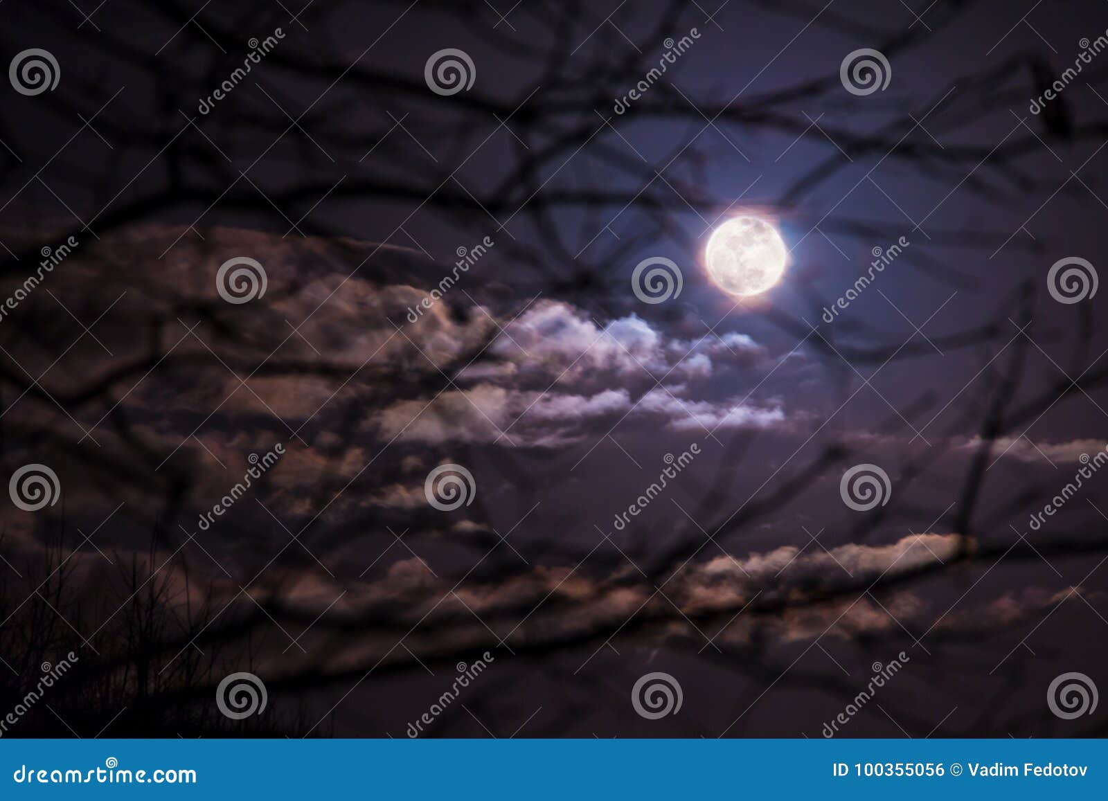 Full Moon in Cloudy Sky at Night Stock Photo - Image of light, park ...