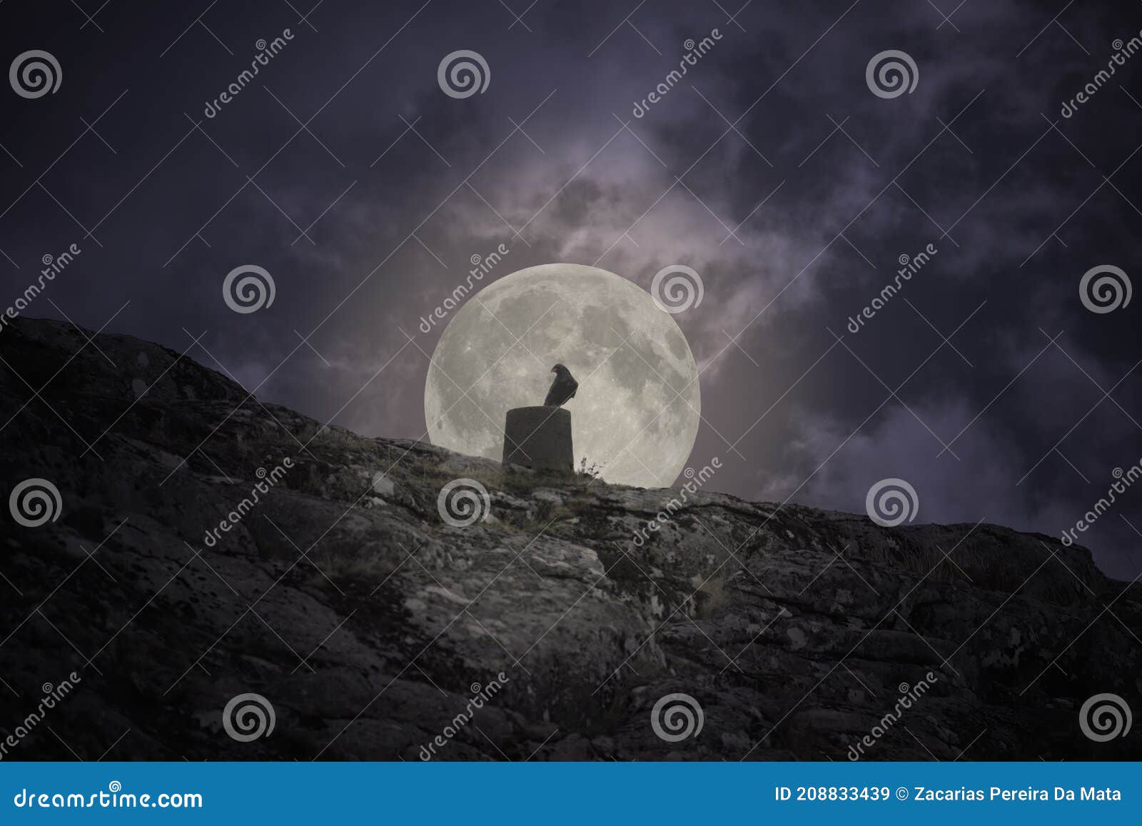 Full moon crow stock image. Image of silhouette, bird - 208833439