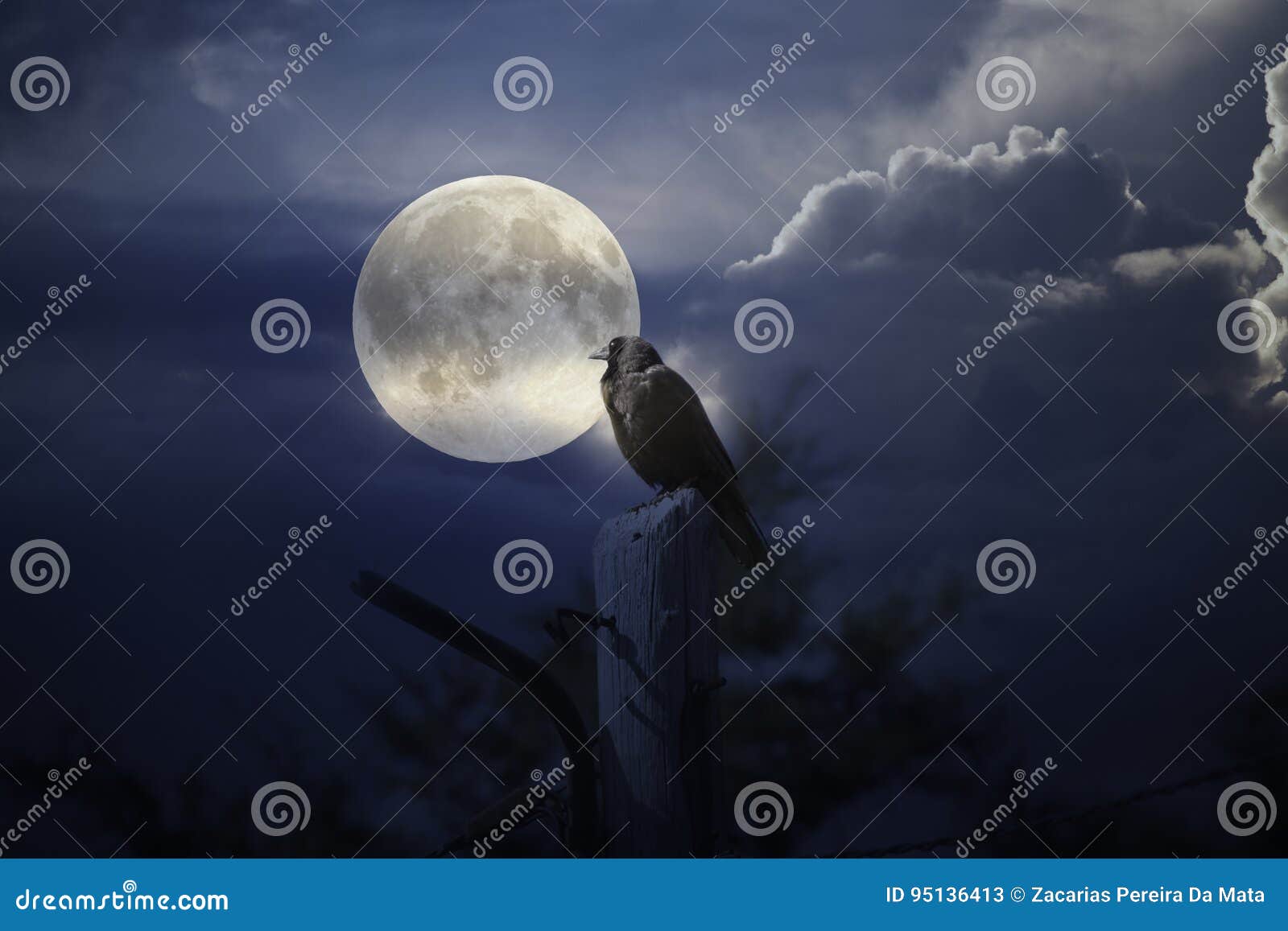 Full moon crow stock illustration. Illustration of mystery - 95136413