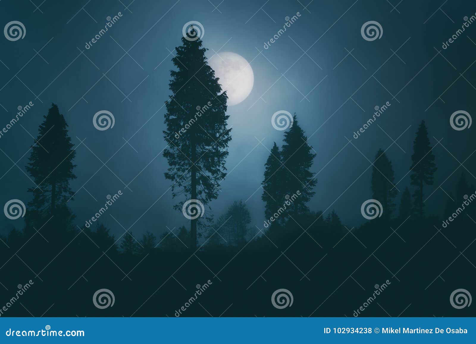 Full Moon on Dark Spooky Forest at Night Stock Photo - Image of moody ...