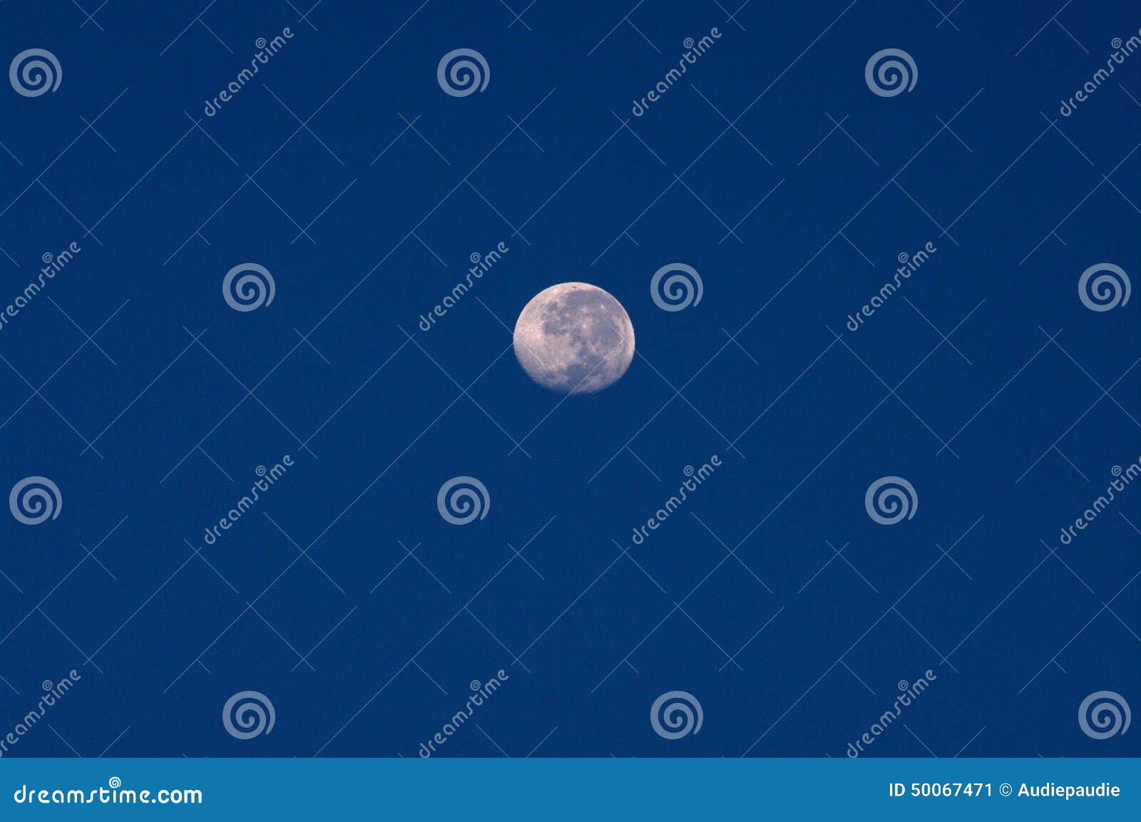 Full moon at dawn stock image. Image of newday, dark - 50067471
