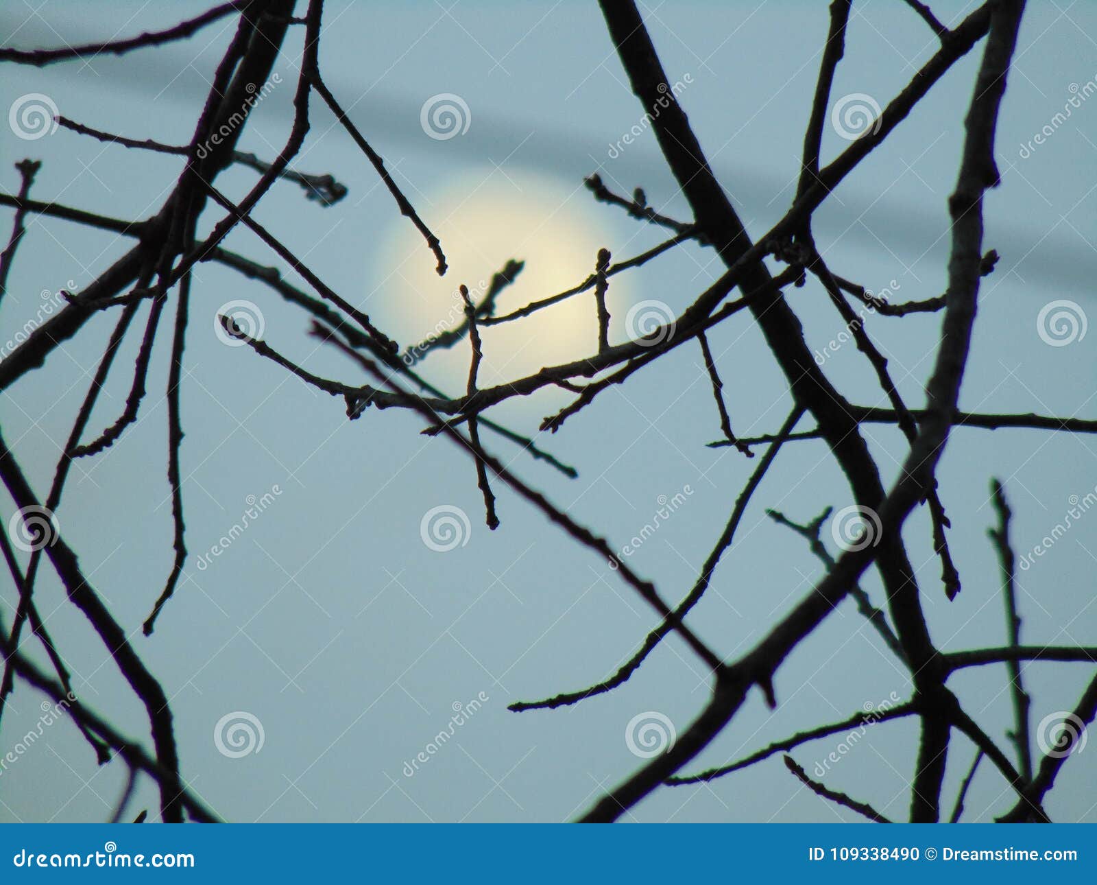 Full moon stock photo. Image of focused, faded, moon - 109338490