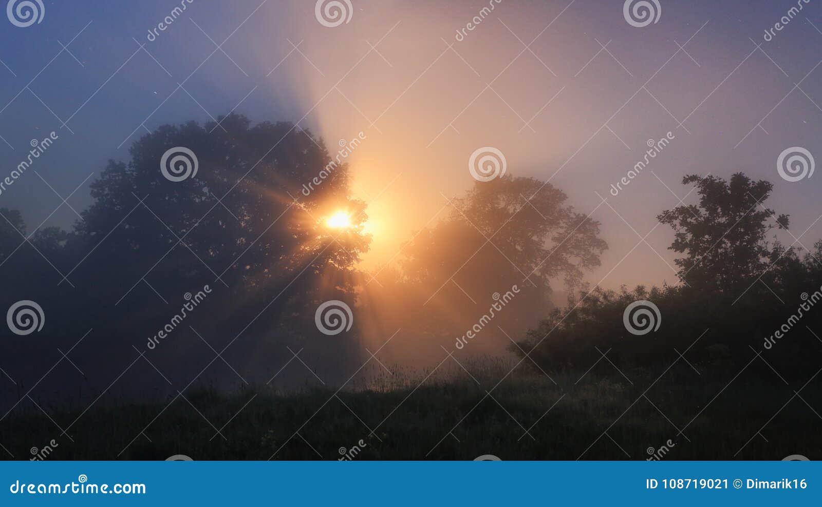 Full moon at foggy night stock image. Image of nature - 108719021