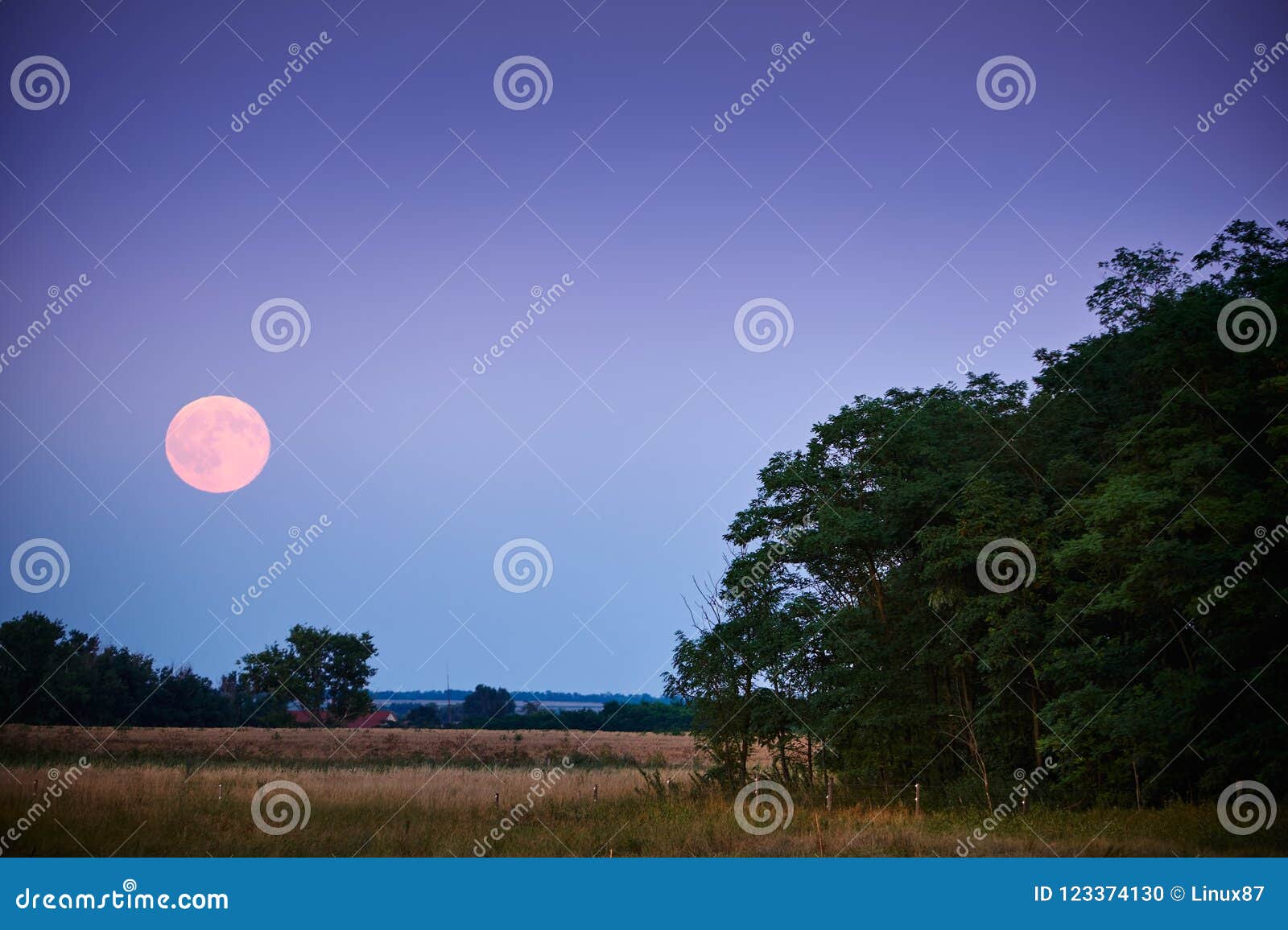 Full moon stock photo. Image of rural, landscape, outdoor - 123374130