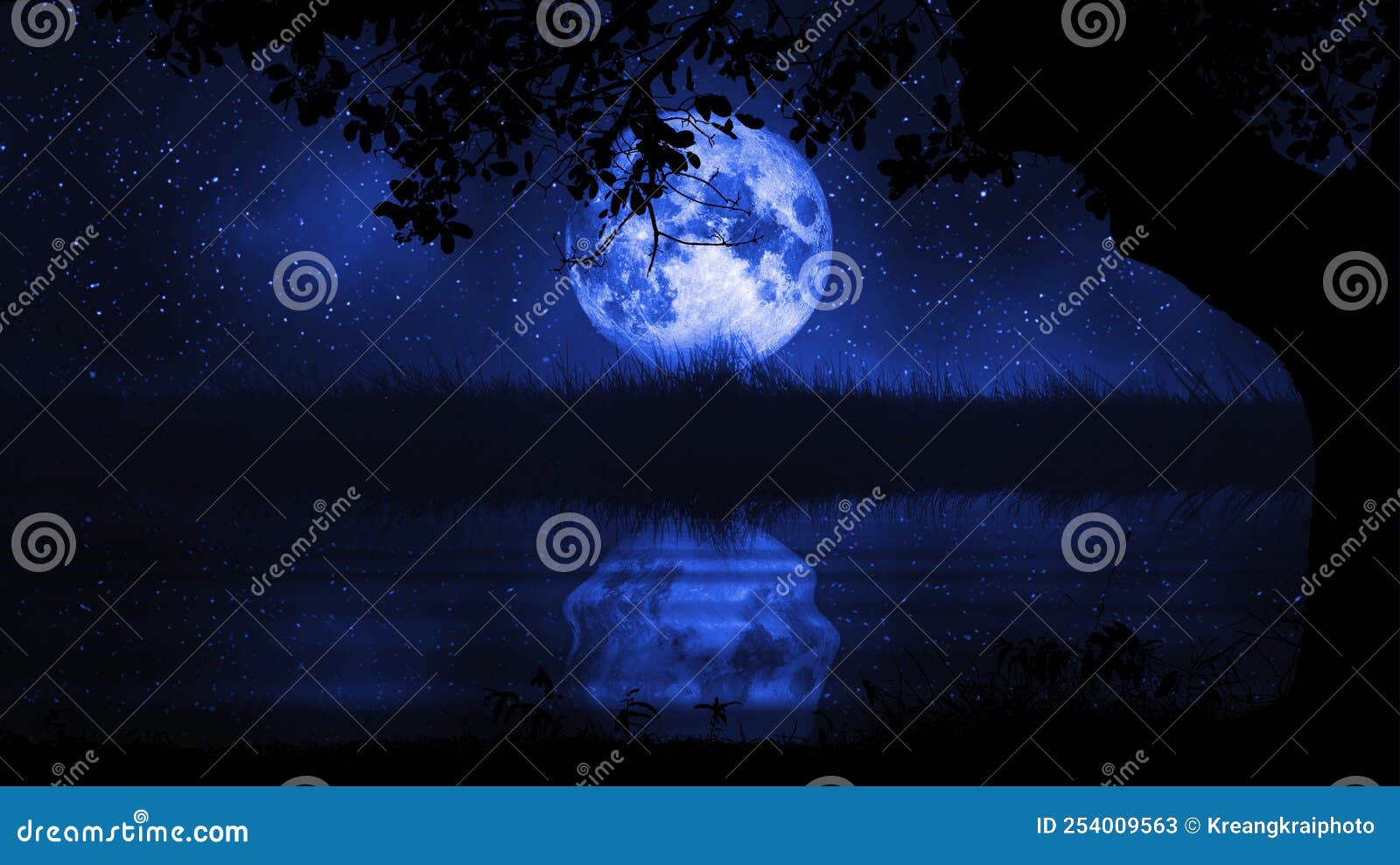 Full Moon and Calm River and Grassland at Nightscape Stock Illustration ...