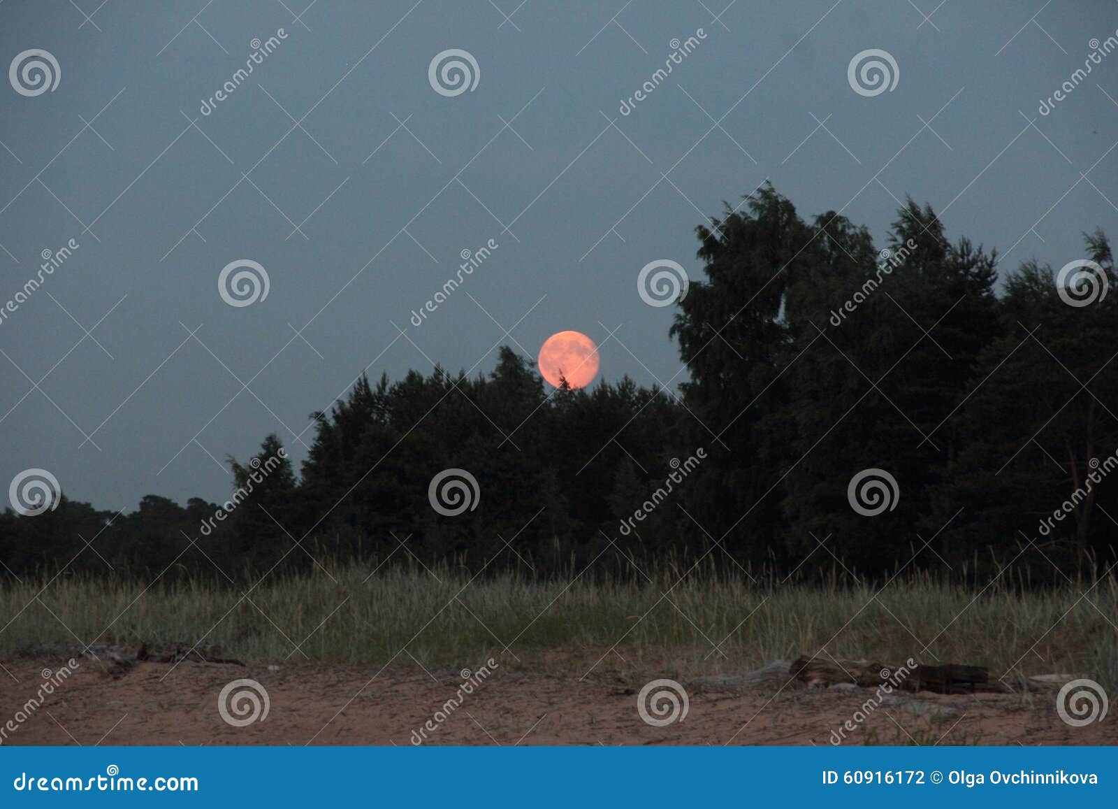 Full Moon on the Gulf of Finland Stock Photo - Image of night, complete ...